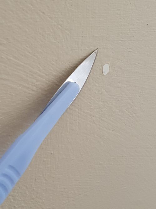 How to remove thick paint deposits after... | Bunnings Workshop community