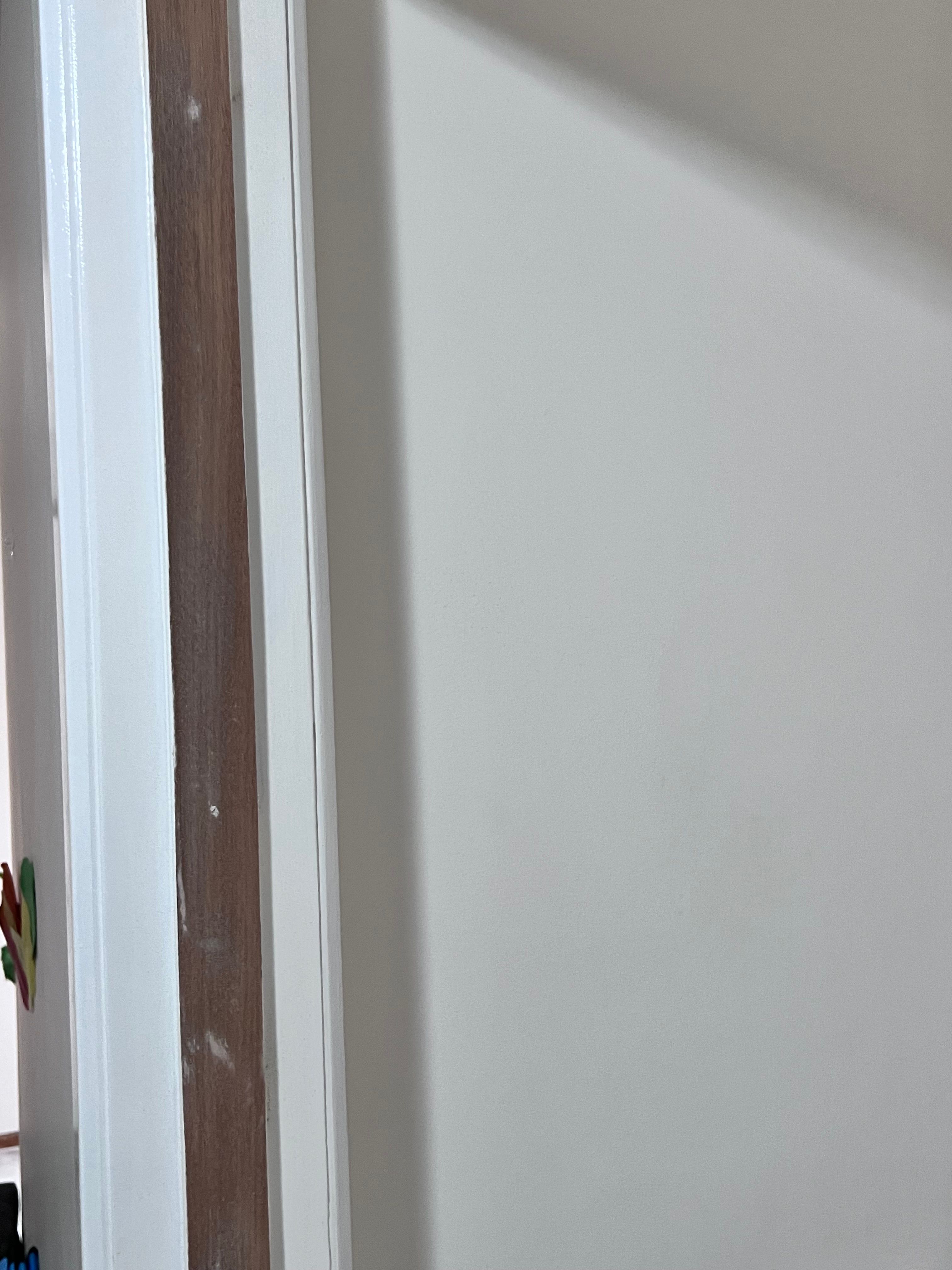 How to remove thick paint deposits after... | Bunnings Workshop community