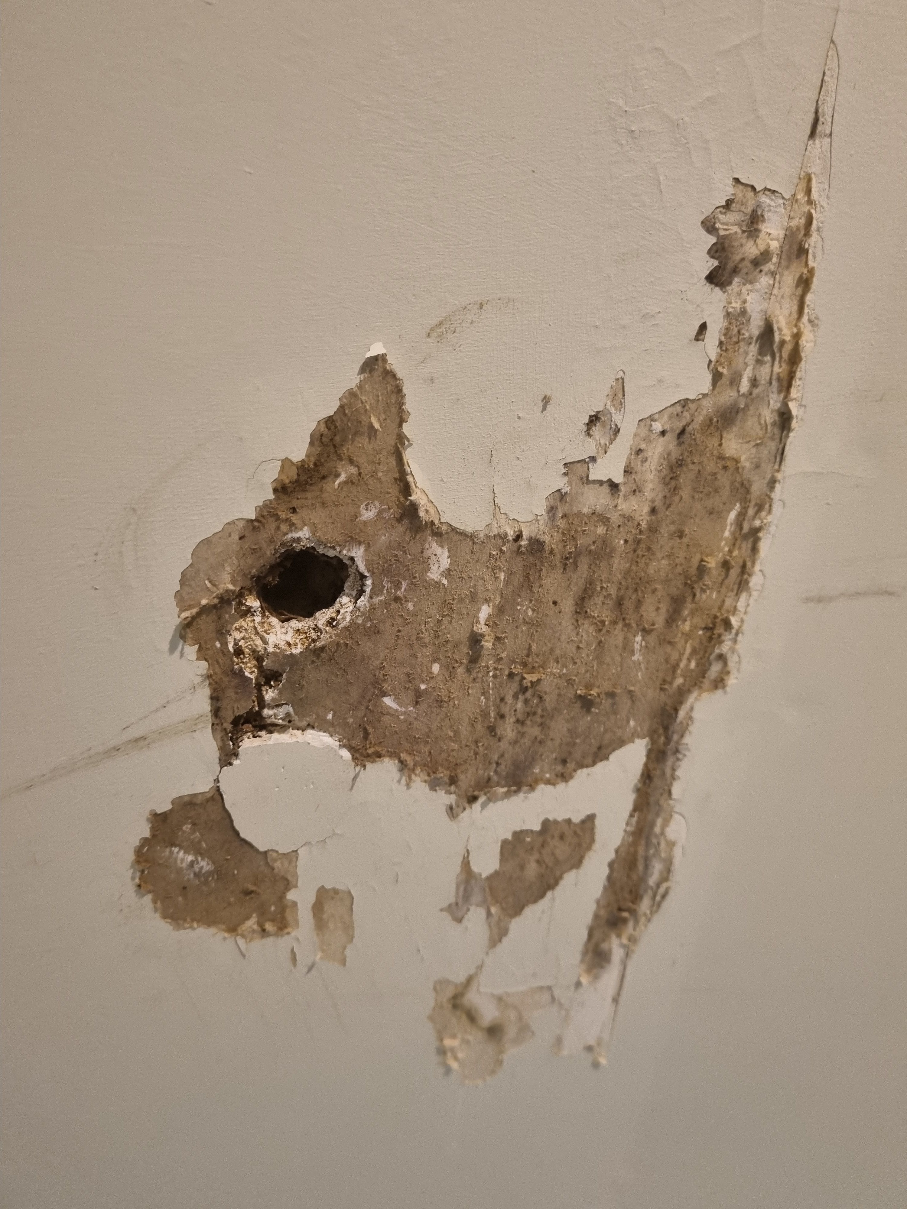 How would I fix this hole in the ceiling... | Bunnings Workshop community