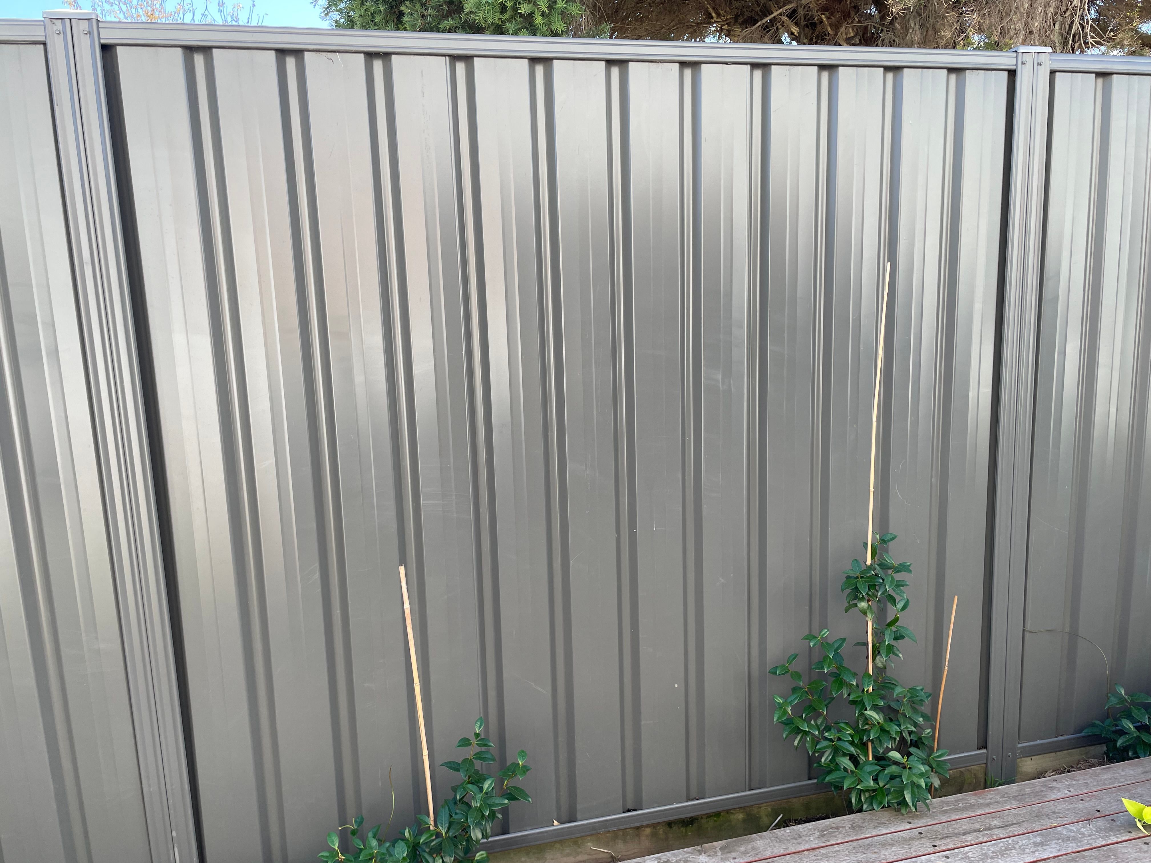 How to attach Reo mesh trellis to Colorb... | Bunnings Workshop community