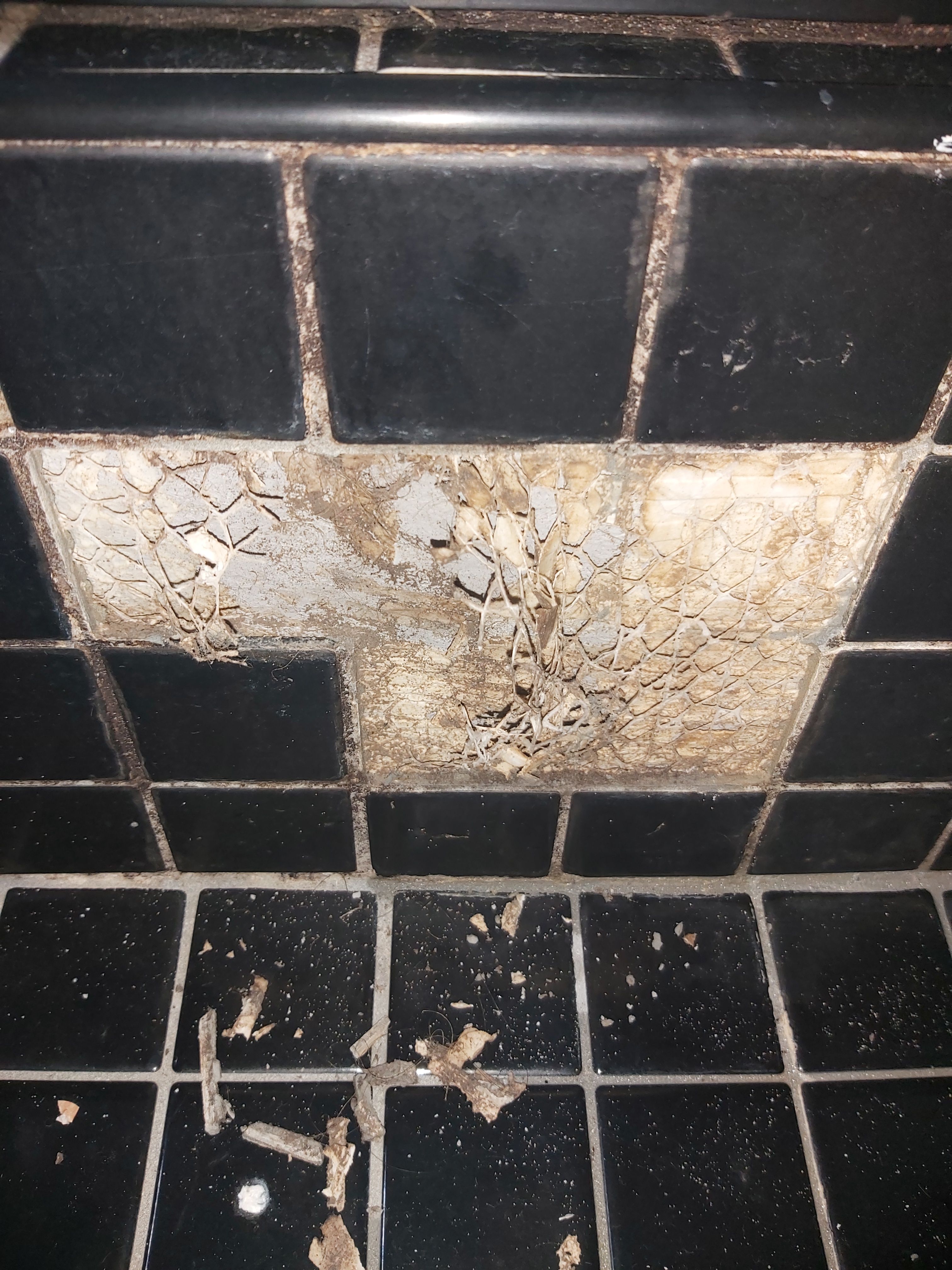 How to stick fallen tiles back onto show... | Bunnings Workshop community