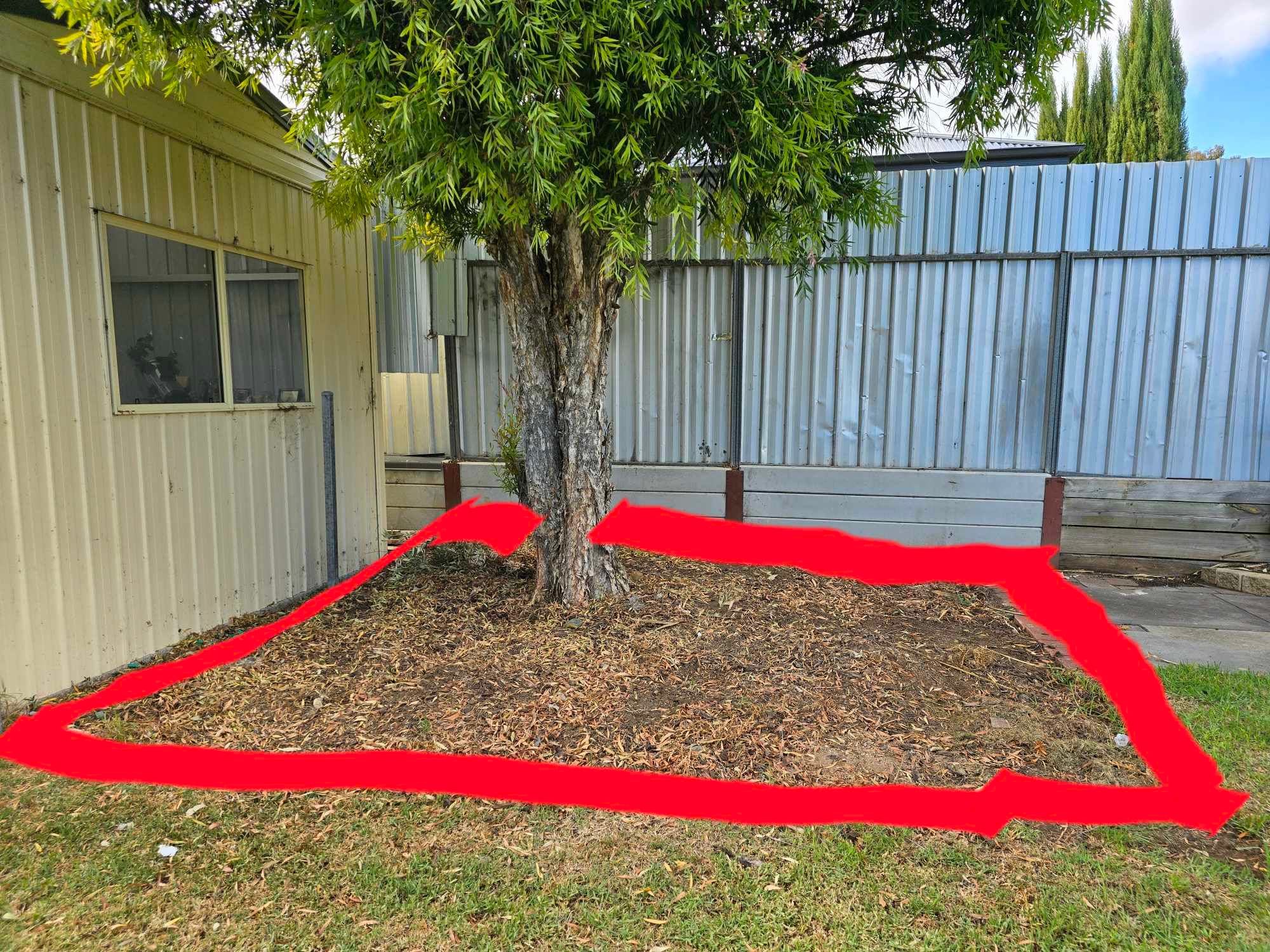 How to build a deck around a tree? | Bunnings Workshop community