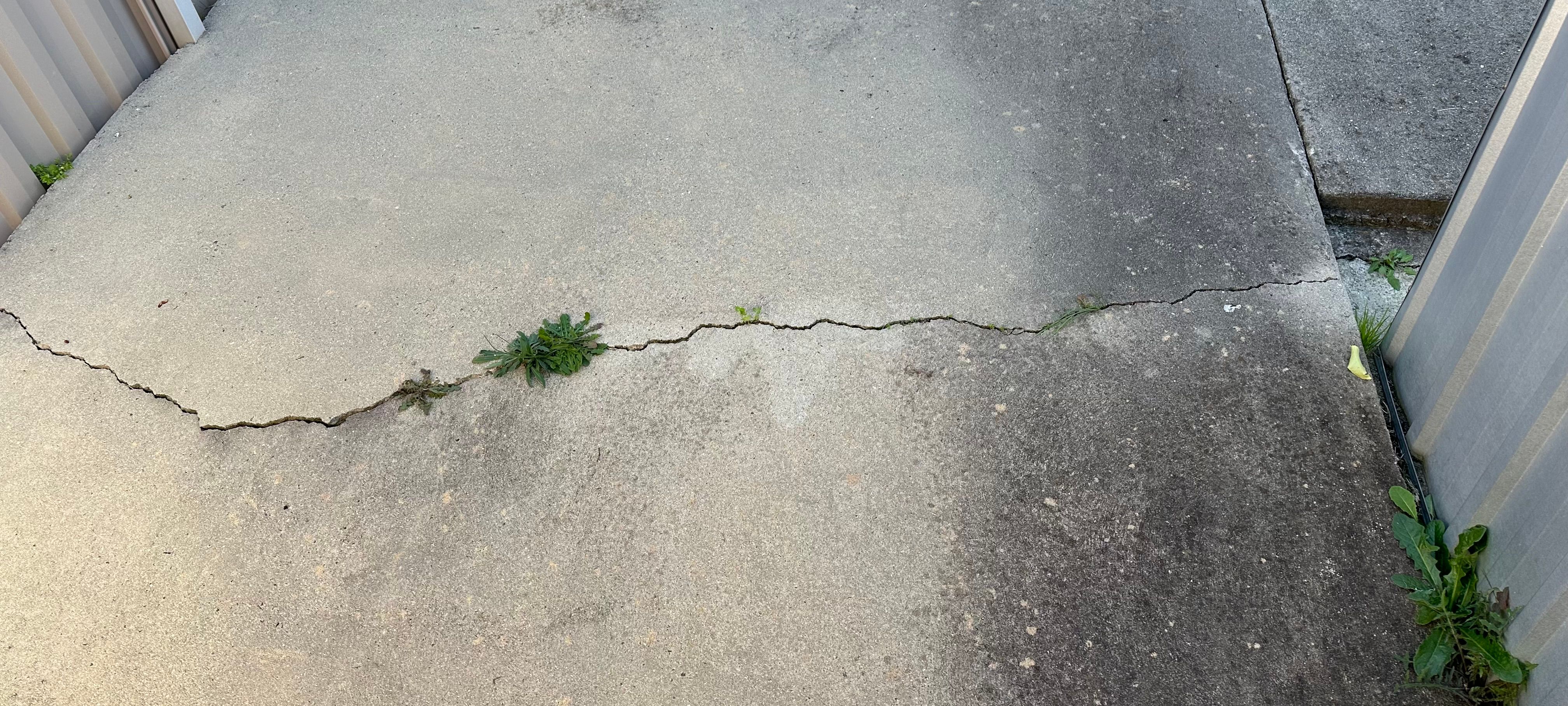 How to fix a large crack on a concrete s... | Bunnings Workshop community