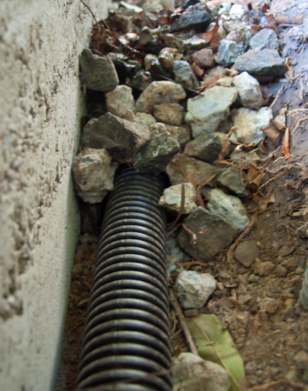 How to improve drainage? | Bunnings Workshop community