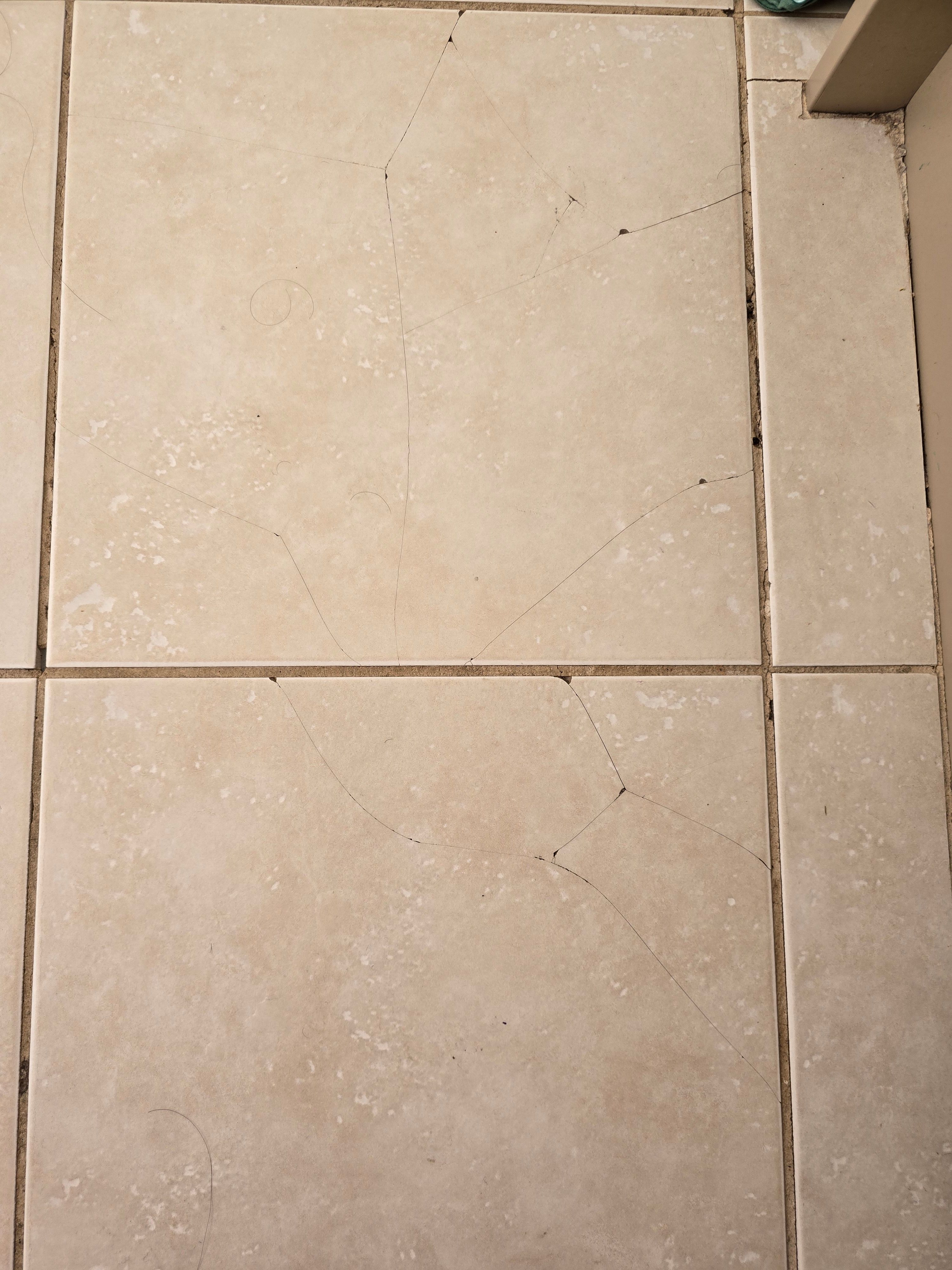 How to repair cracked tiles? | Bunnings Workshop community
