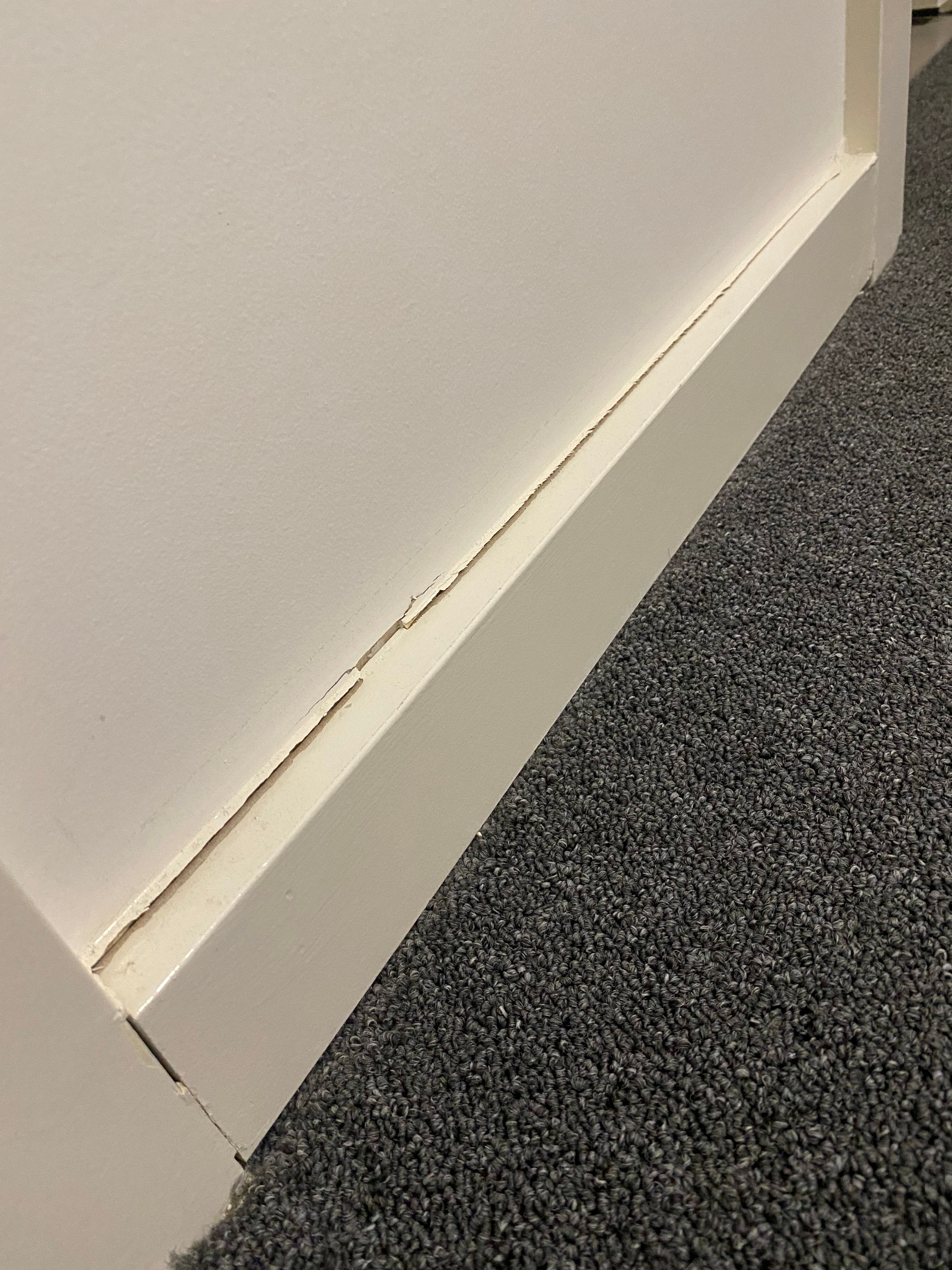 How to fix the skirting board? | Bunnings Workshop community