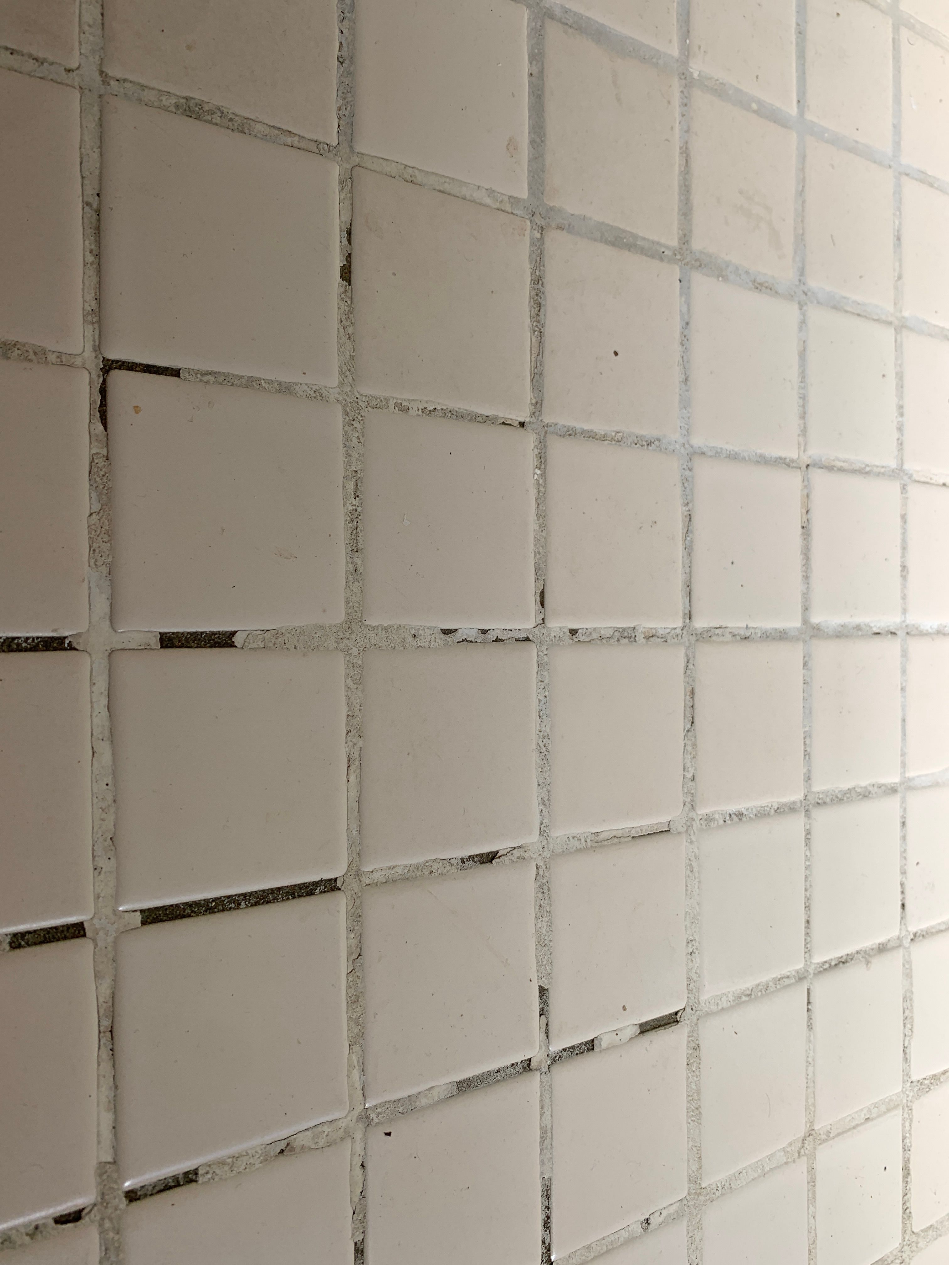 Best way to fix tile grout? | Bunnings Workshop community