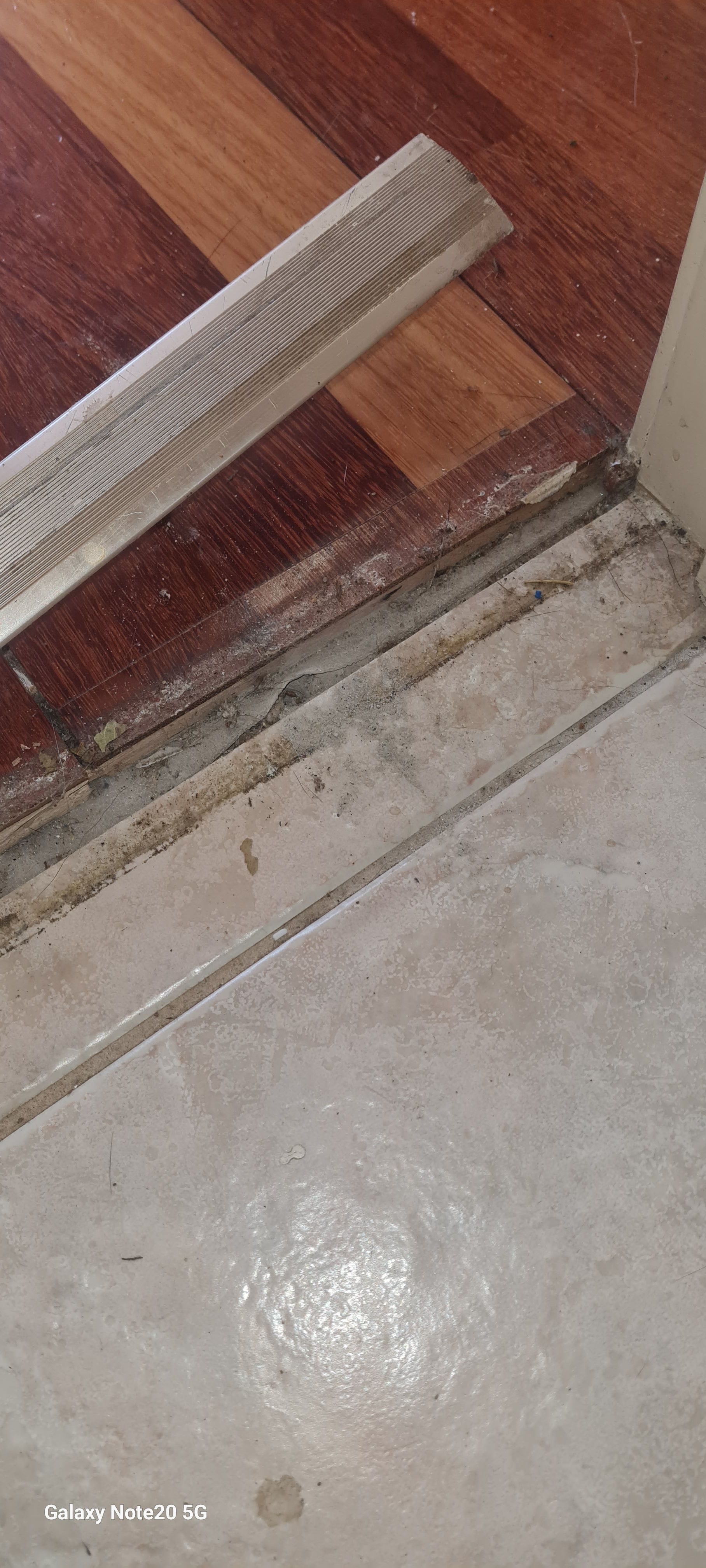 How to replace metal transition strips w... | Bunnings Workshop community