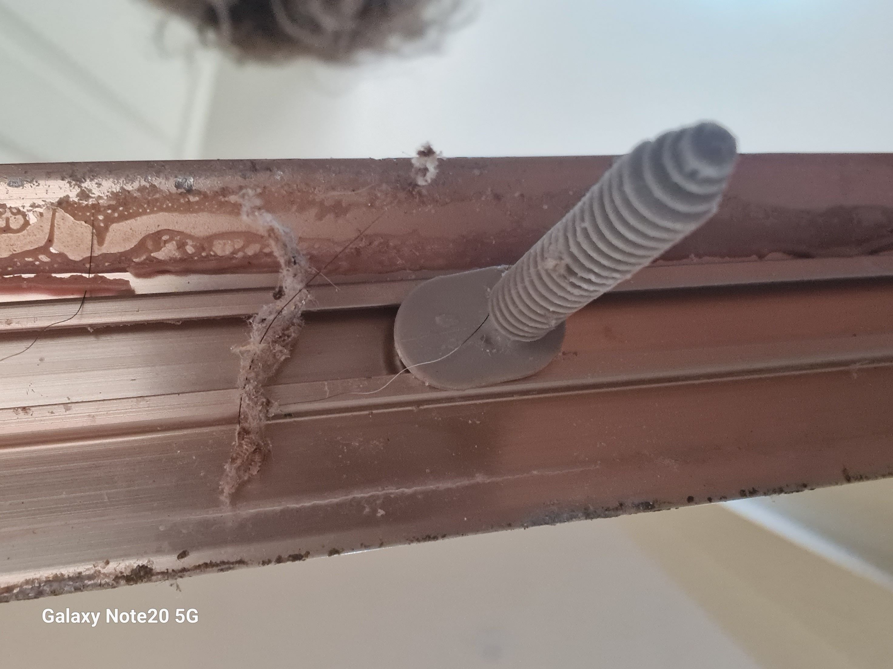 How to replace metal transition strips w... | Bunnings Workshop community