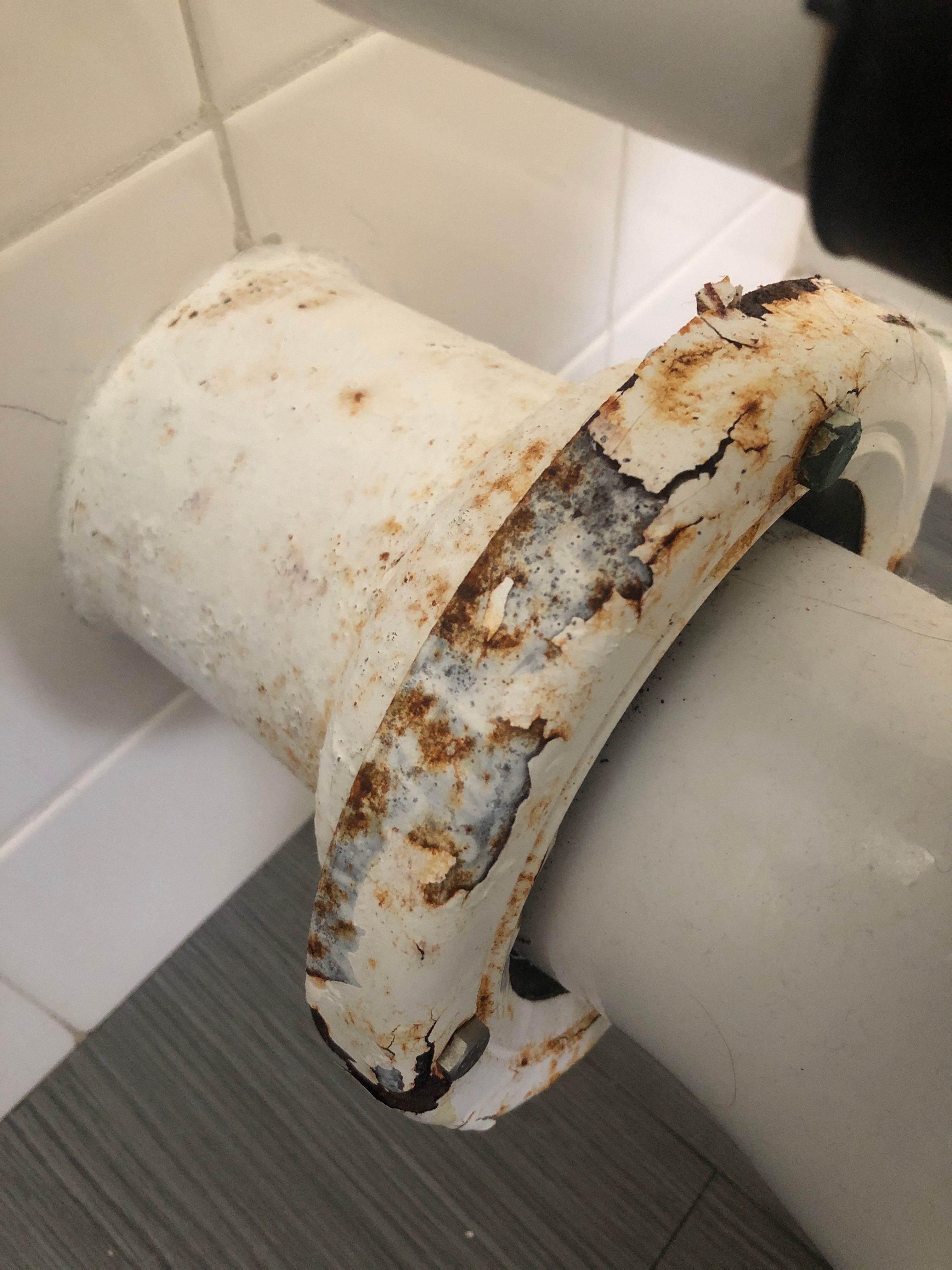 How to restore rusted toilet pipe? | Bunnings Workshop community
