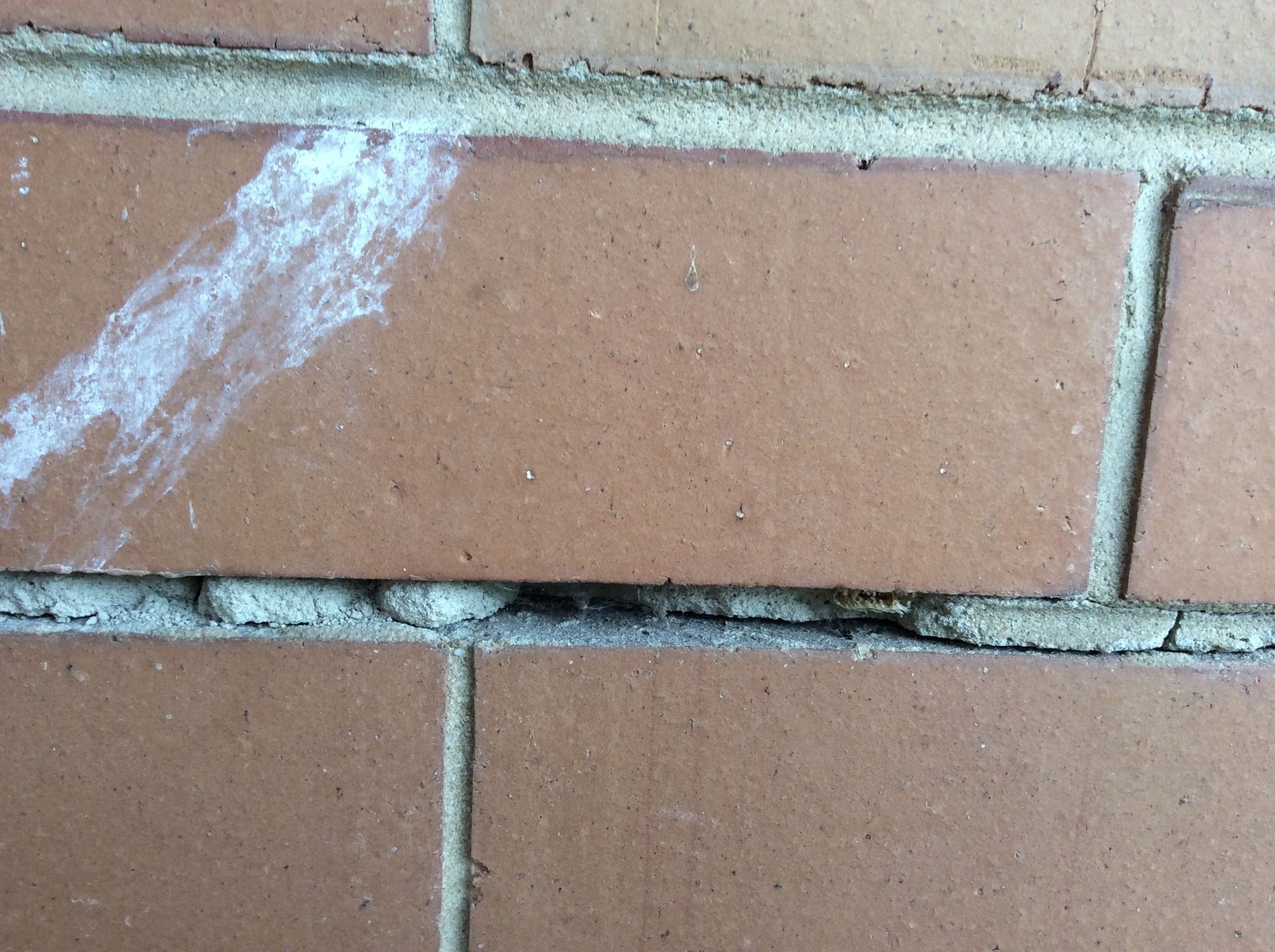 How to fix holes and bugs in brick morta... | Bunnings Workshop community