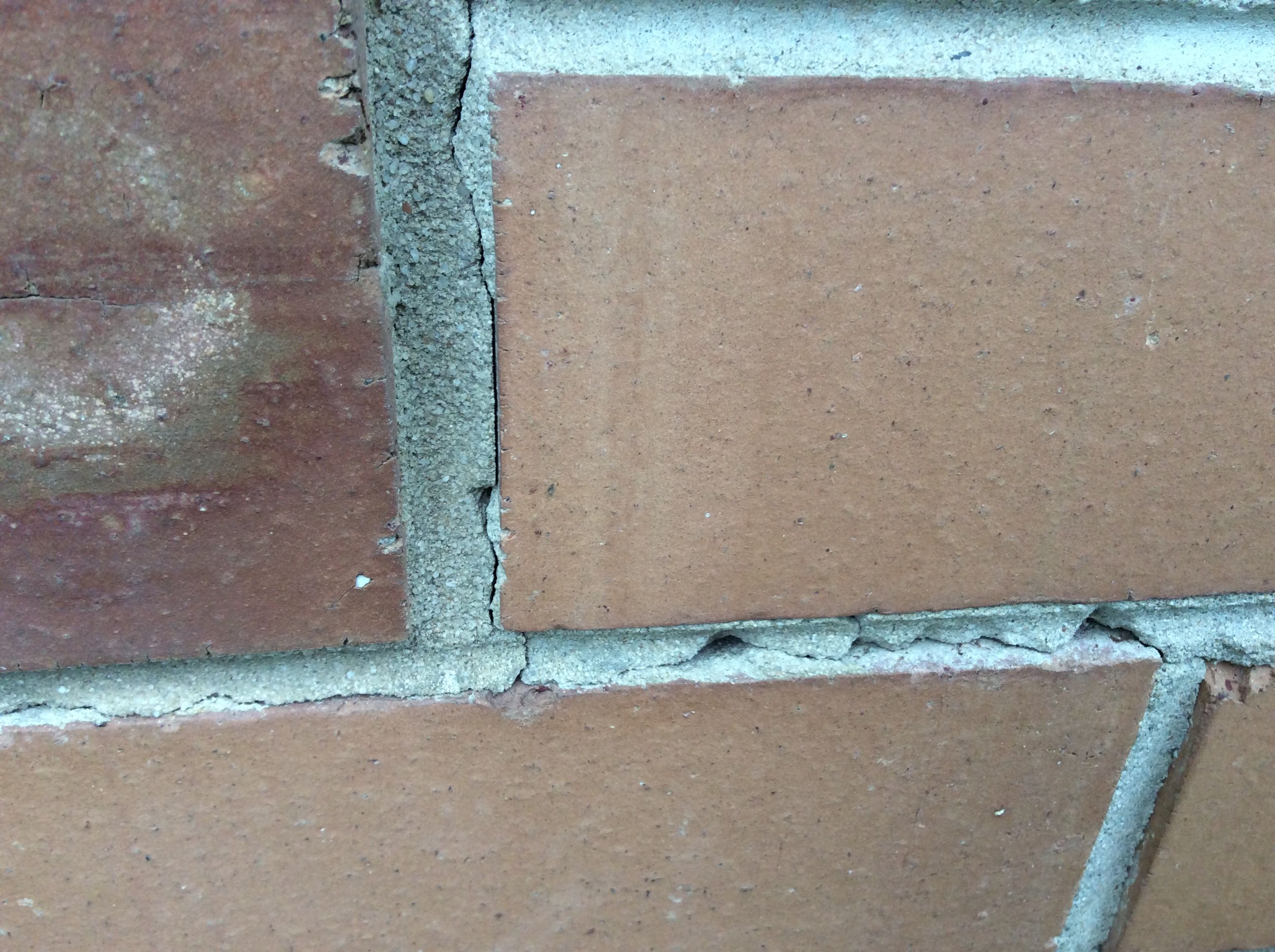 How to fix holes and bugs in brick morta... | Bunnings Workshop community