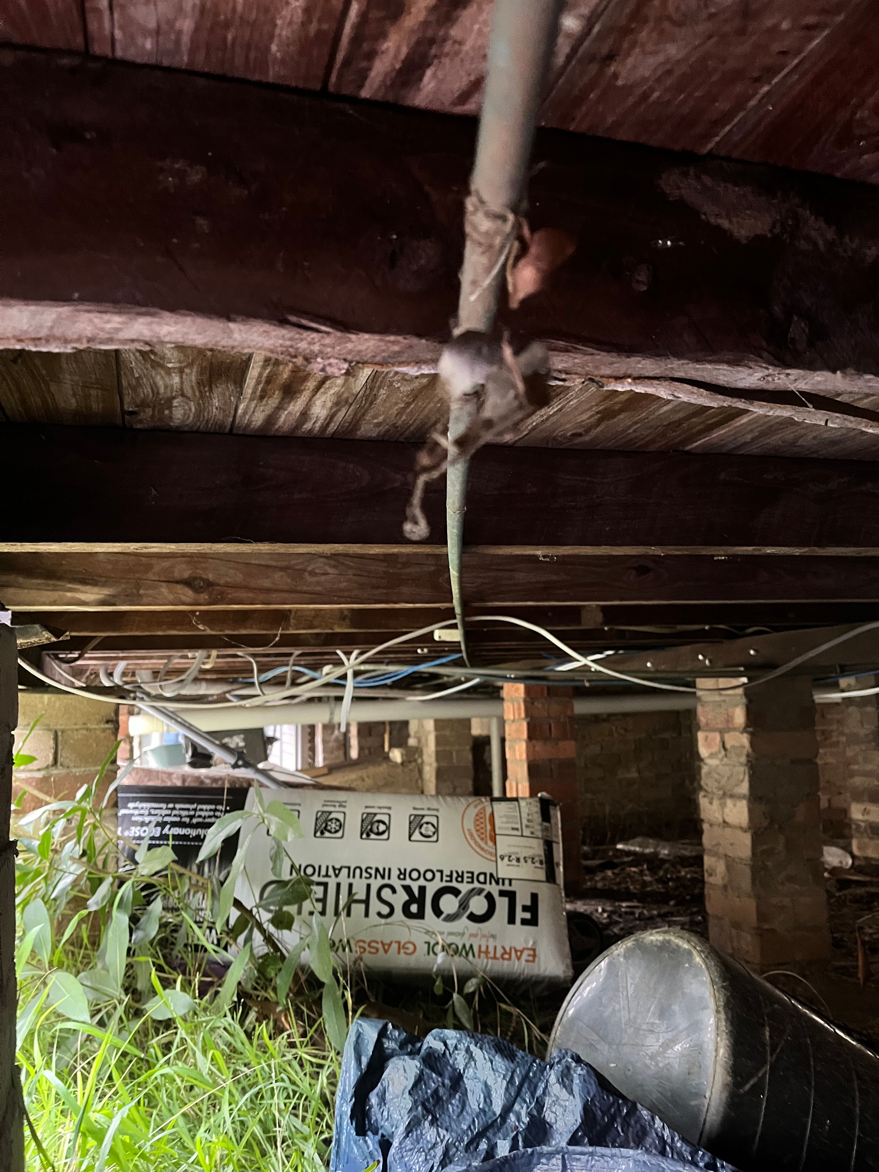 How to retro-fit underfloor insulation w... | Bunnings Workshop community