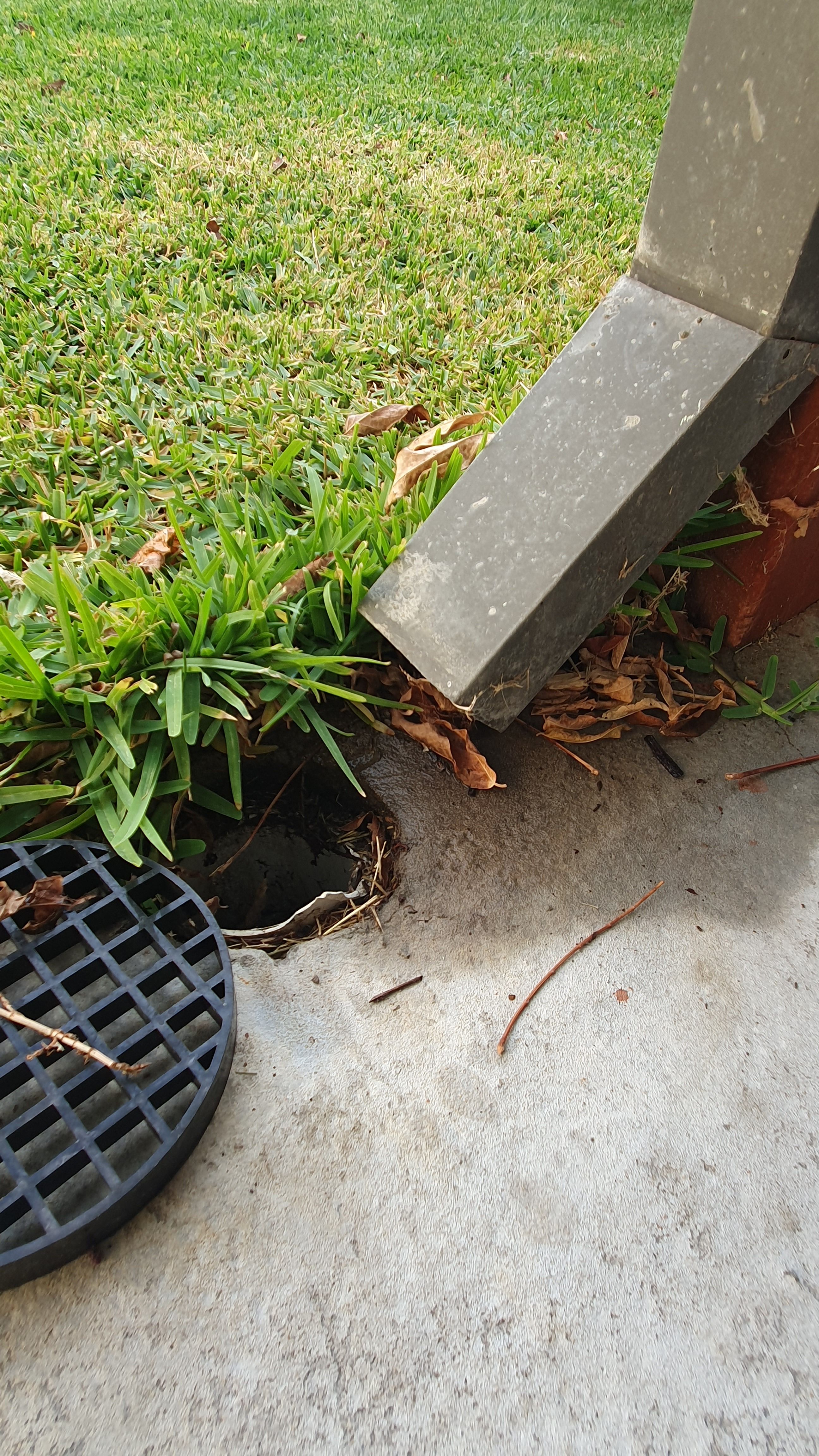 How to improve gutter? | Bunnings Workshop community