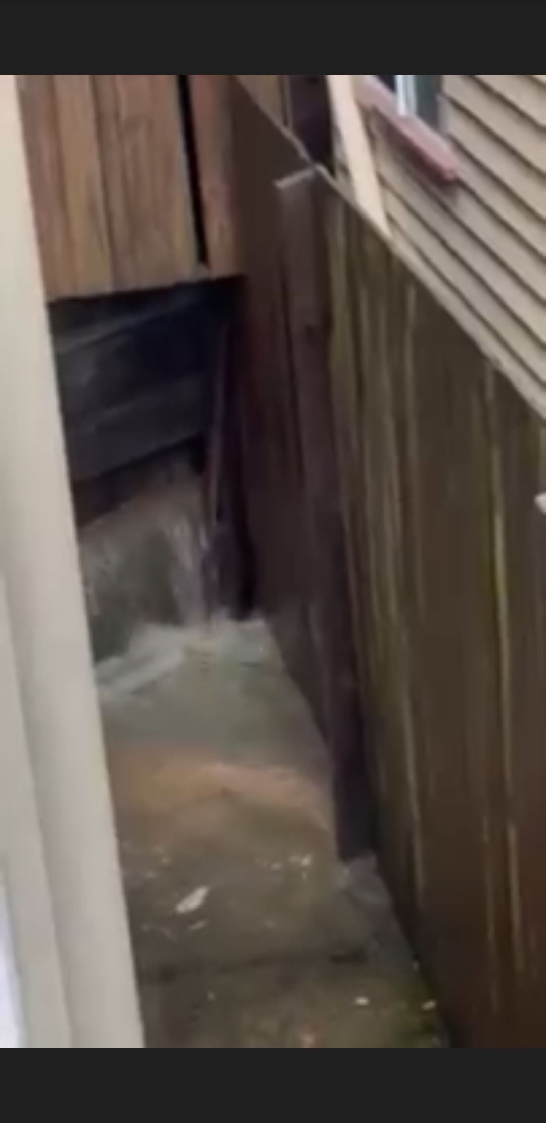 How to stop overflowing water from other... - Page 2 | Bunnings ...