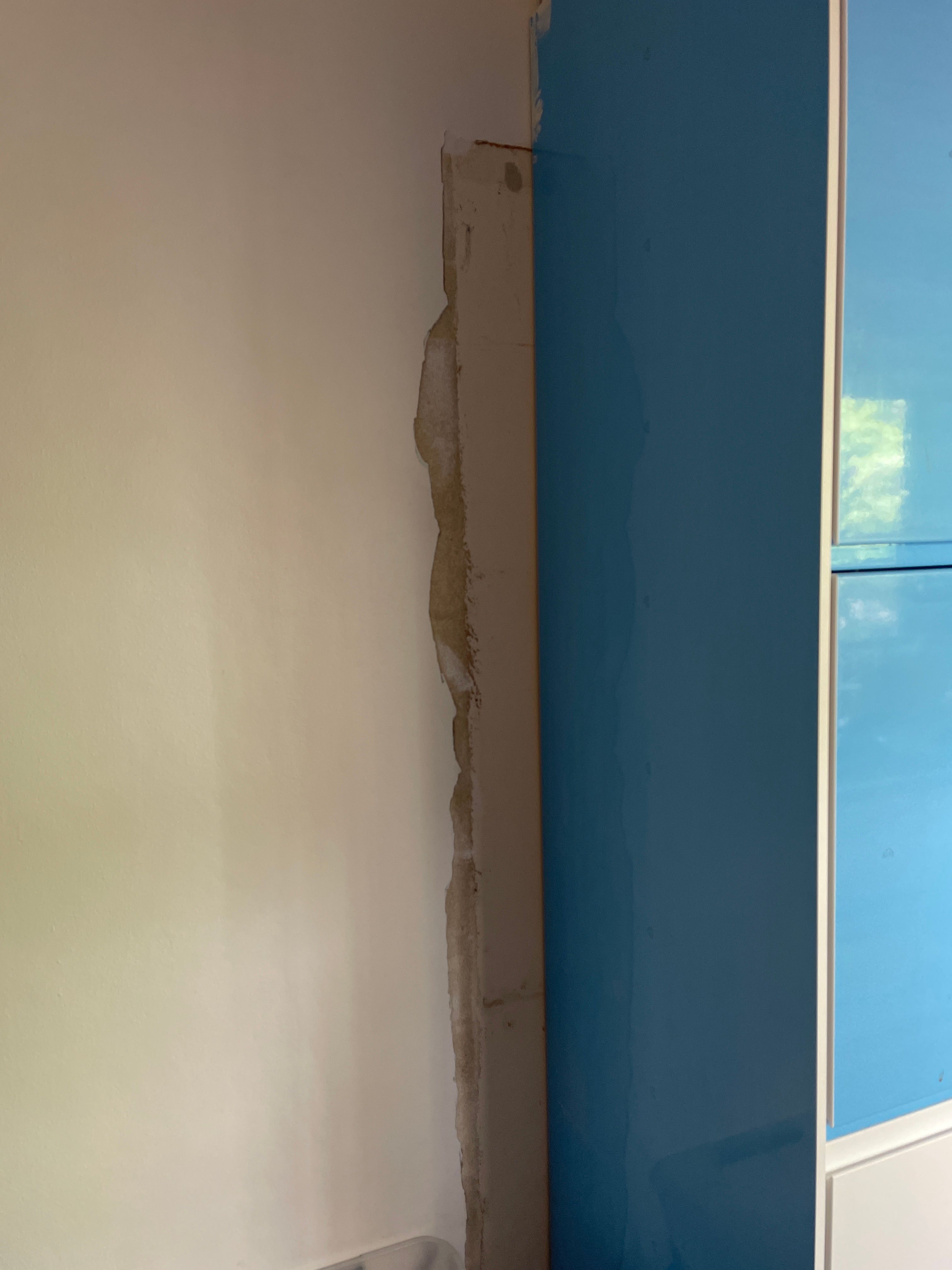 How to patch internal wall render? | Bunnings Workshop community
