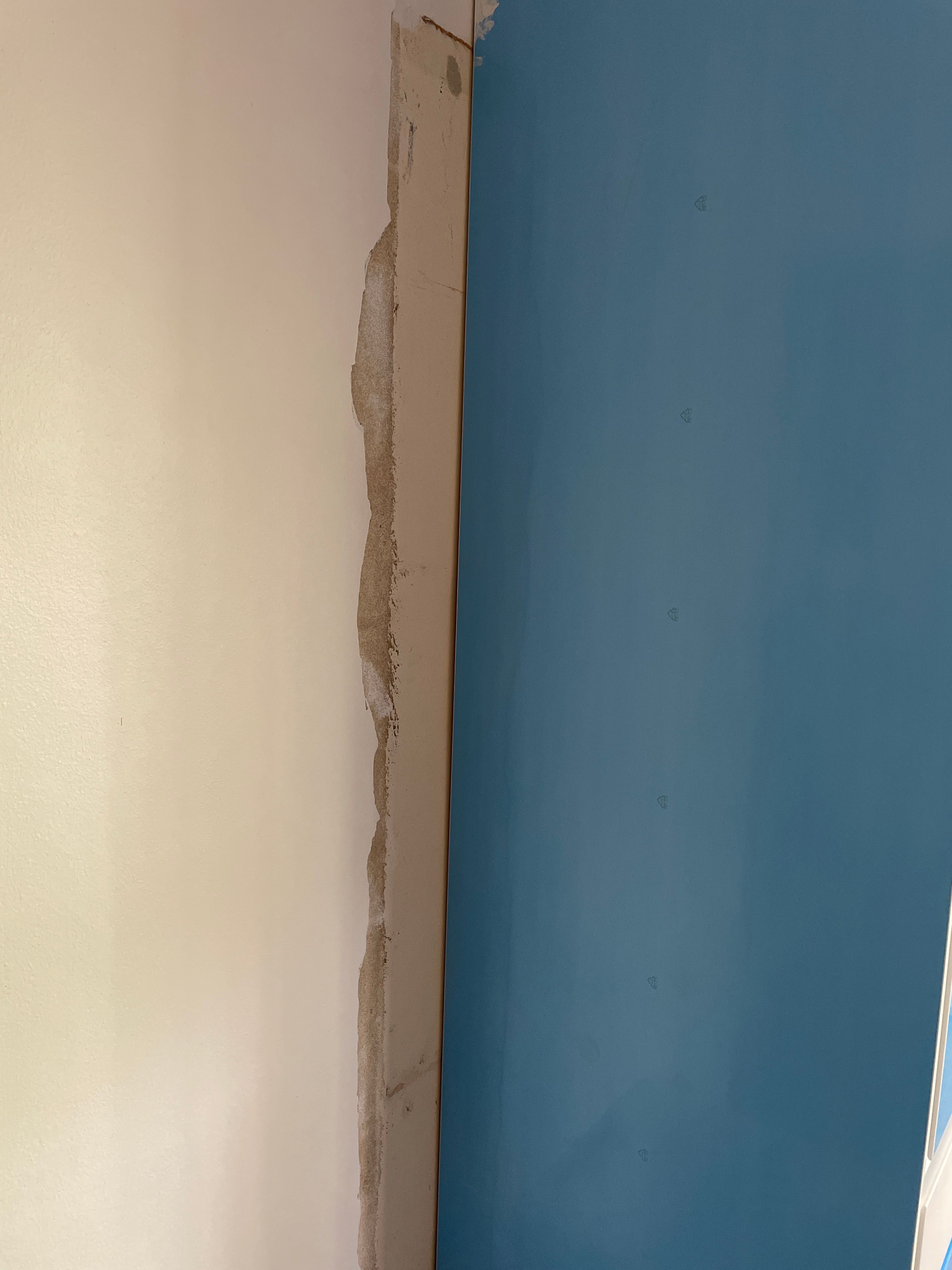 How to patch internal wall render? | Bunnings Workshop community