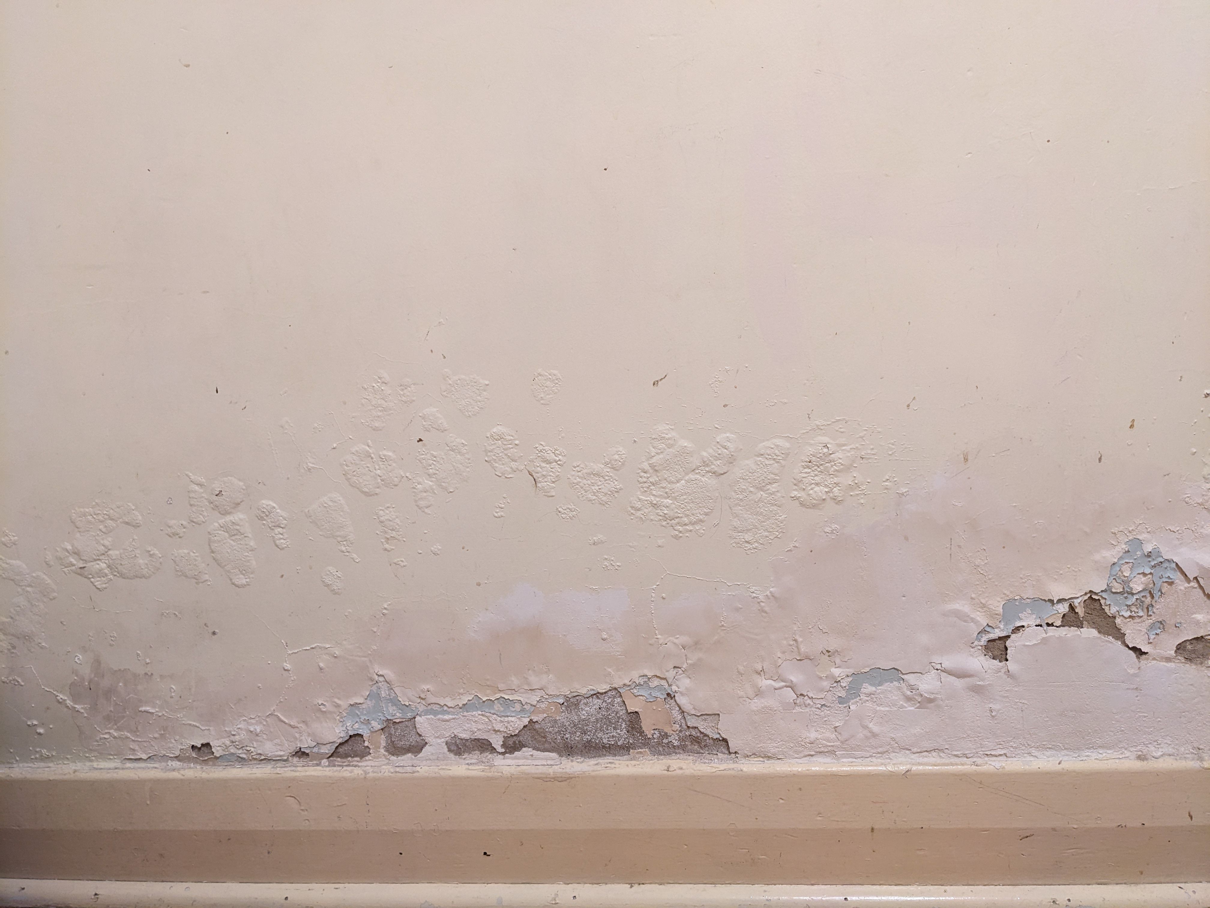 How to add damp proof course to fix risi... | Bunnings Workshop community