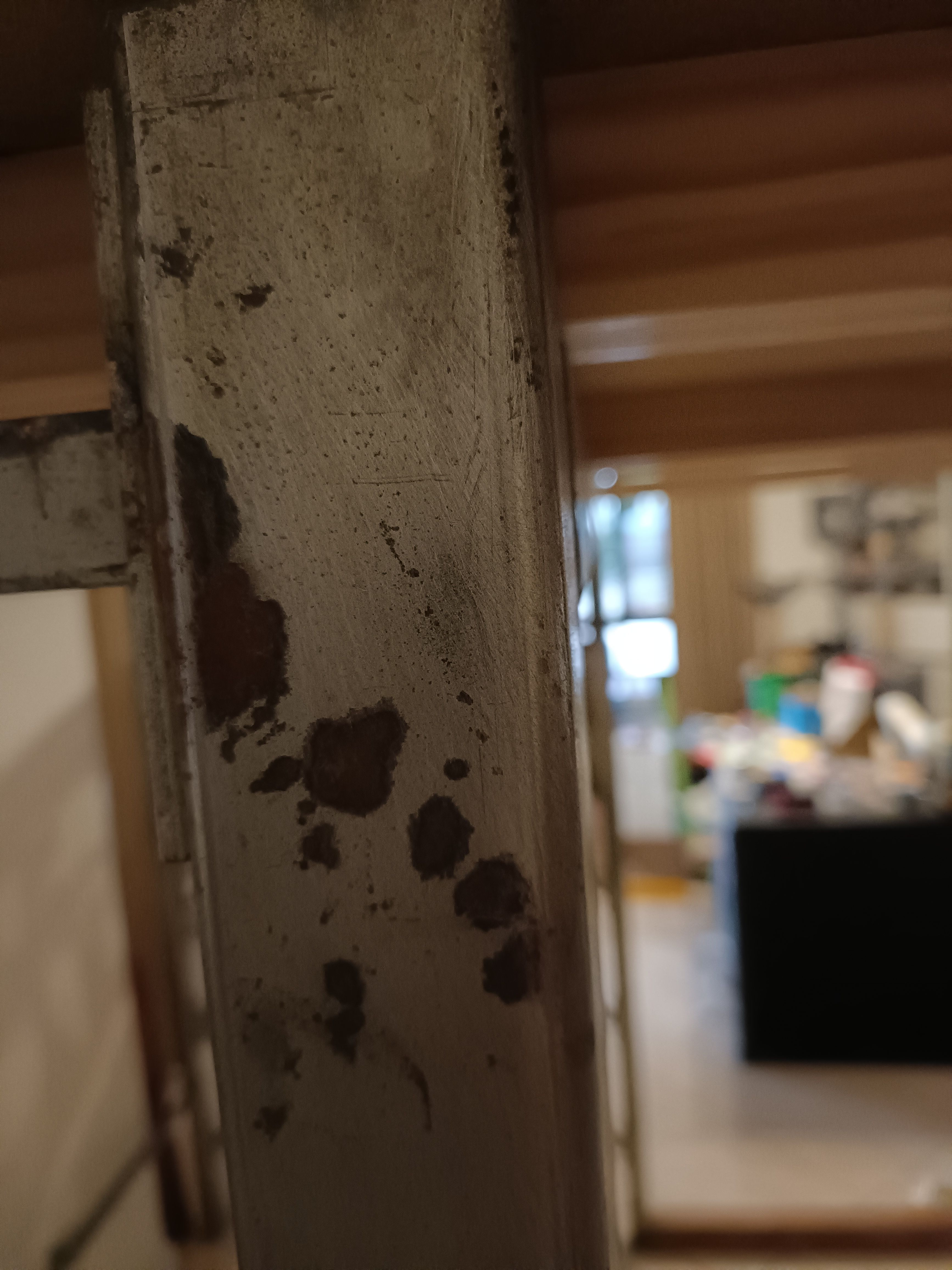 How to remove rust from metal frame? | Bunnings Workshop community