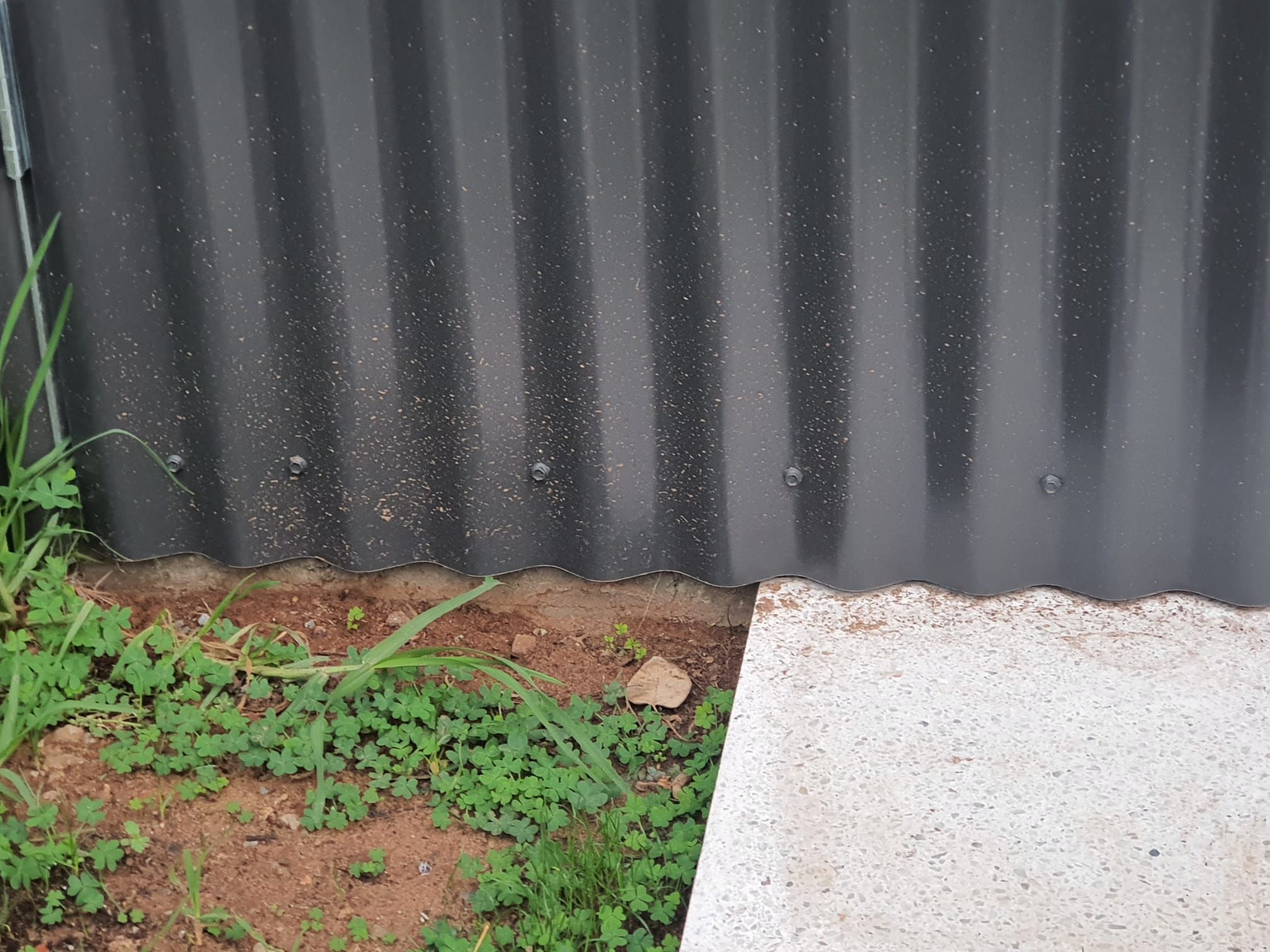How to seal the shed? | Bunnings Workshop community