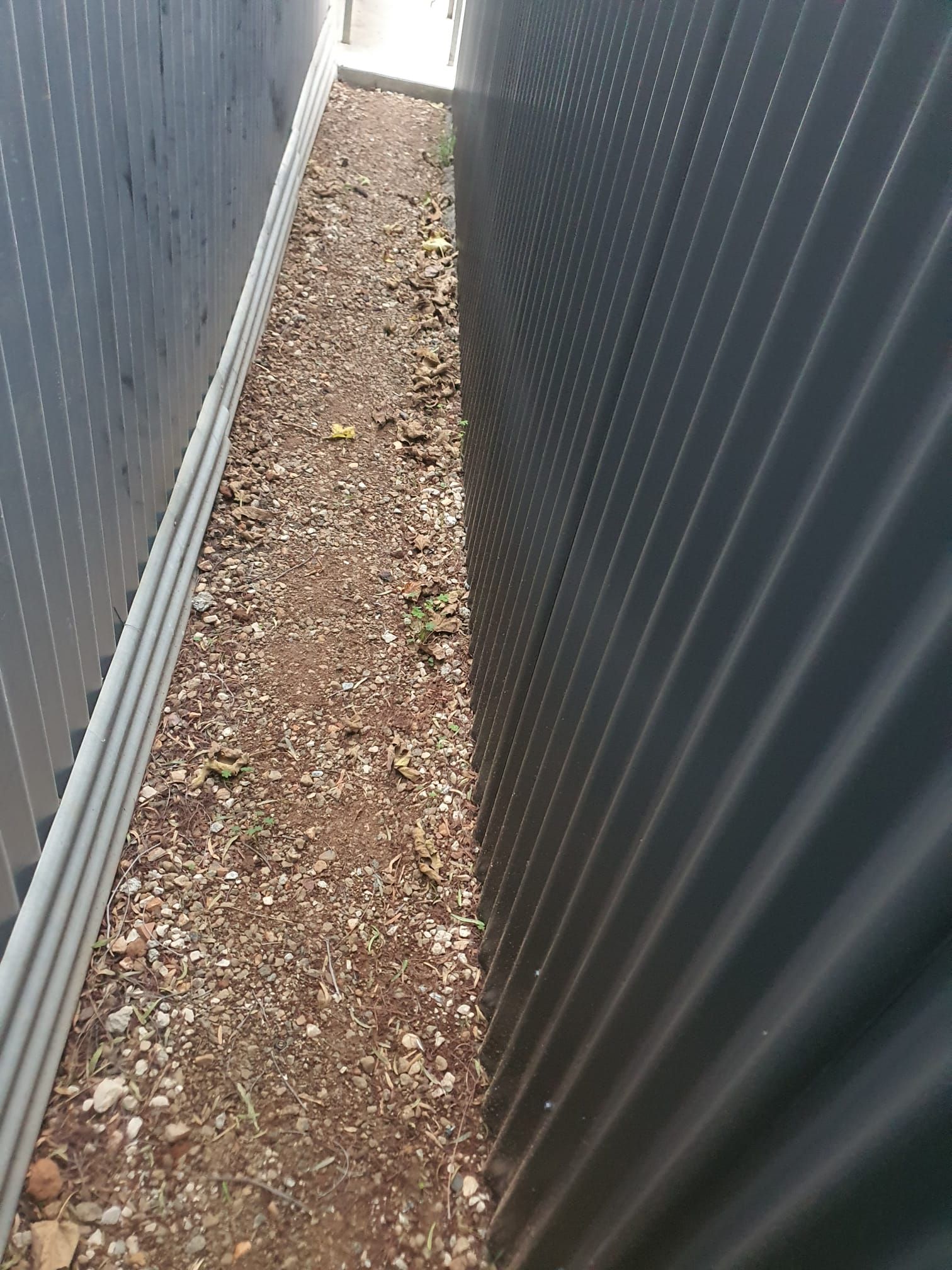 How to seal the shed? | Bunnings Workshop community