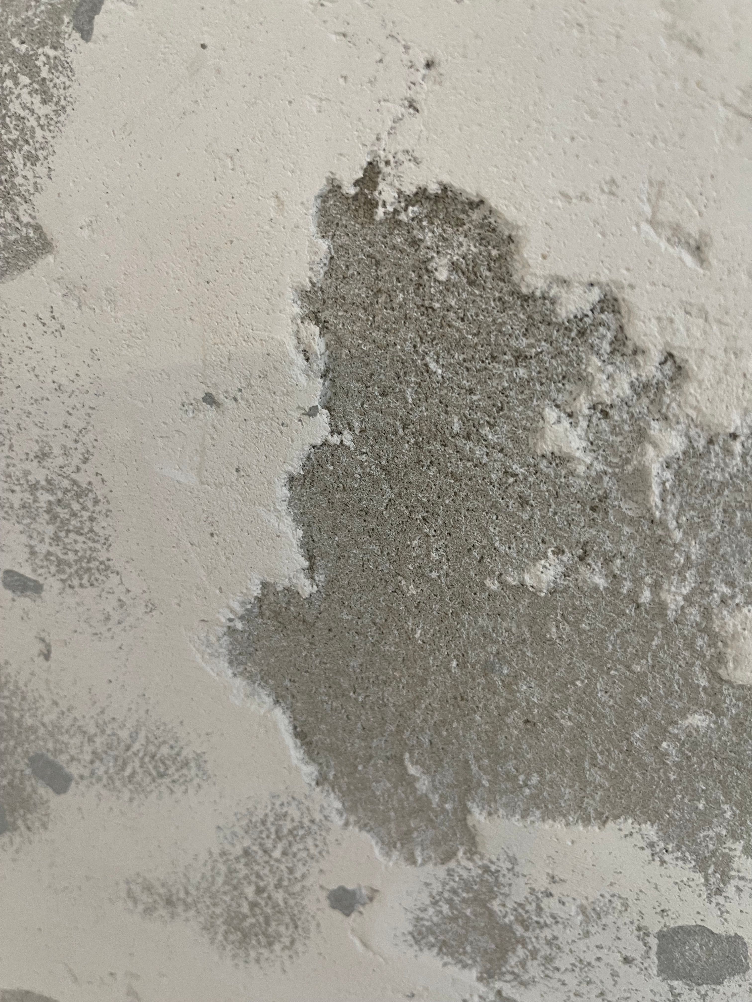 How to replaster a wall after removing t... | Bunnings Workshop community