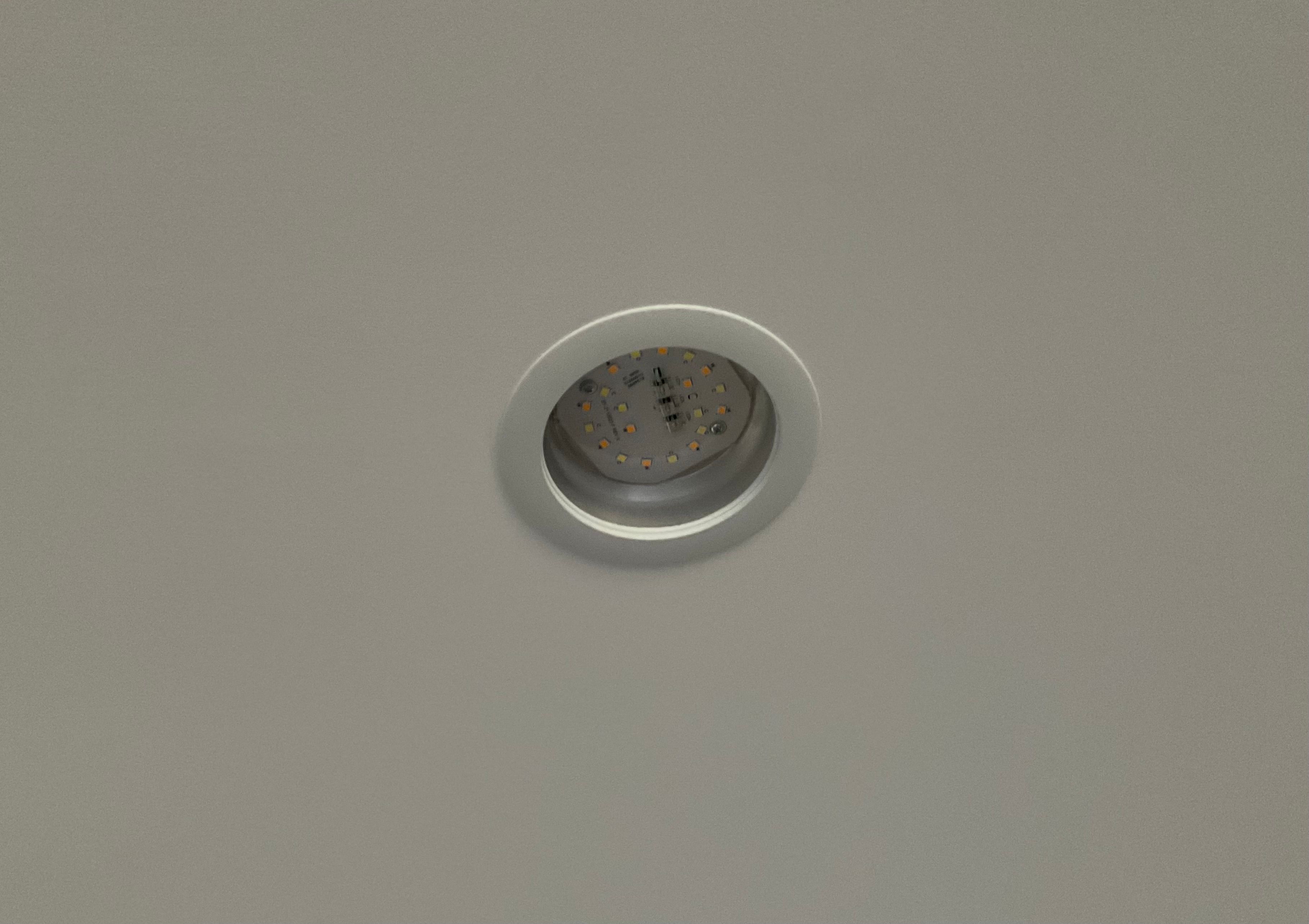 Can you replace a diffuser on an LED dow... | Bunnings Workshop community