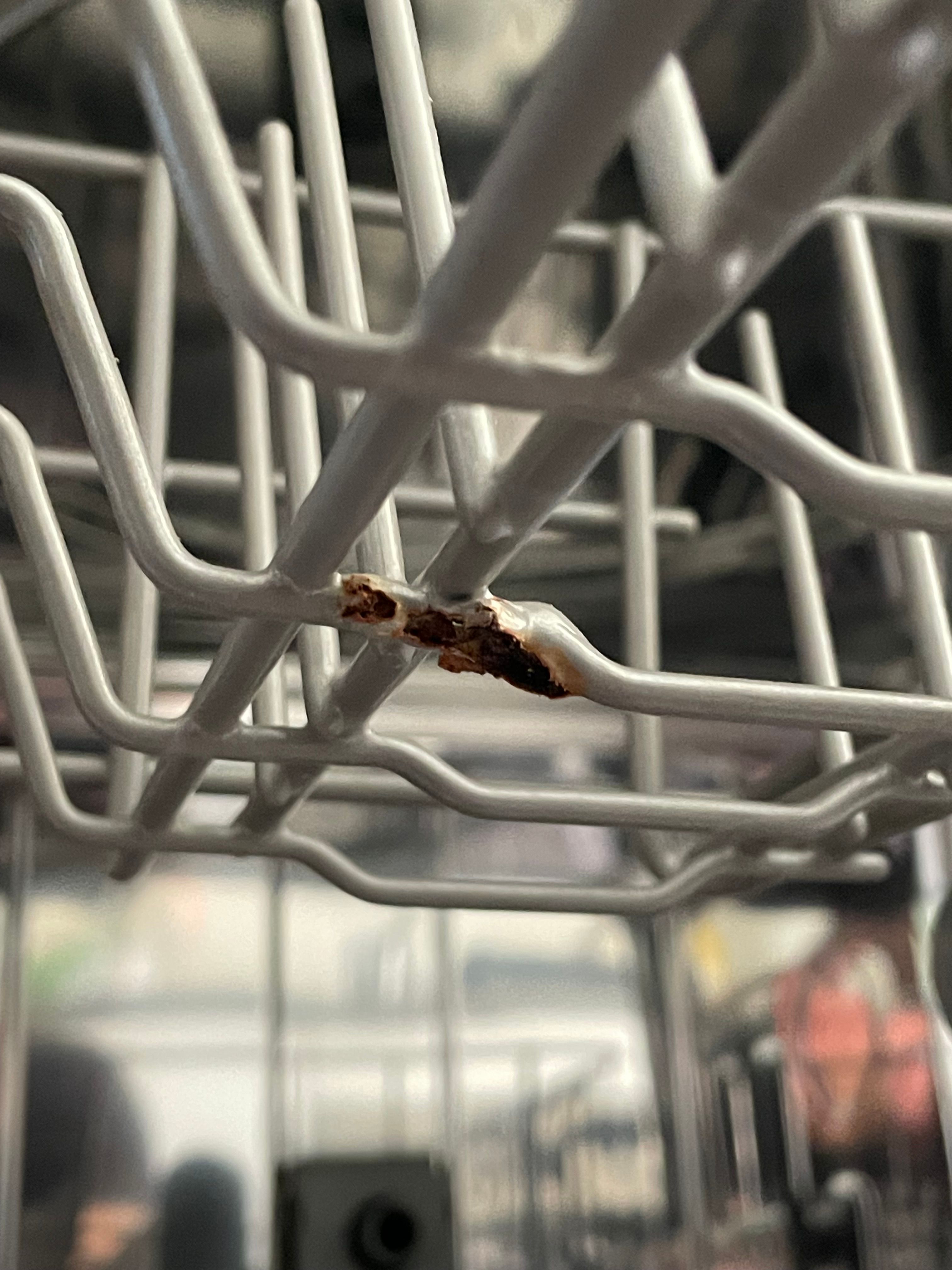 How to remove dishwasher rack rust? | Bunnings Workshop community