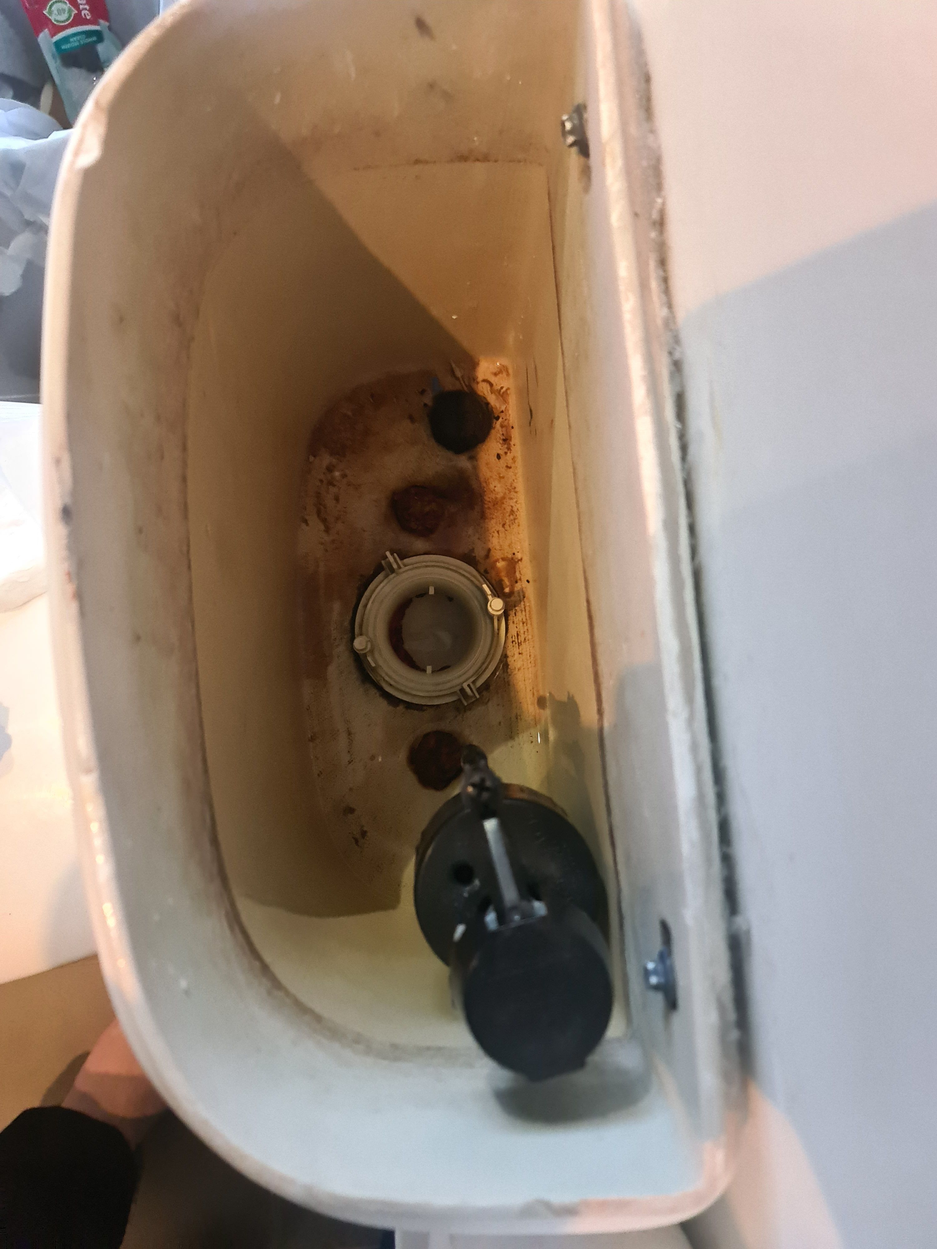 What cistern replacement parts do I need... | Bunnings Workshop community