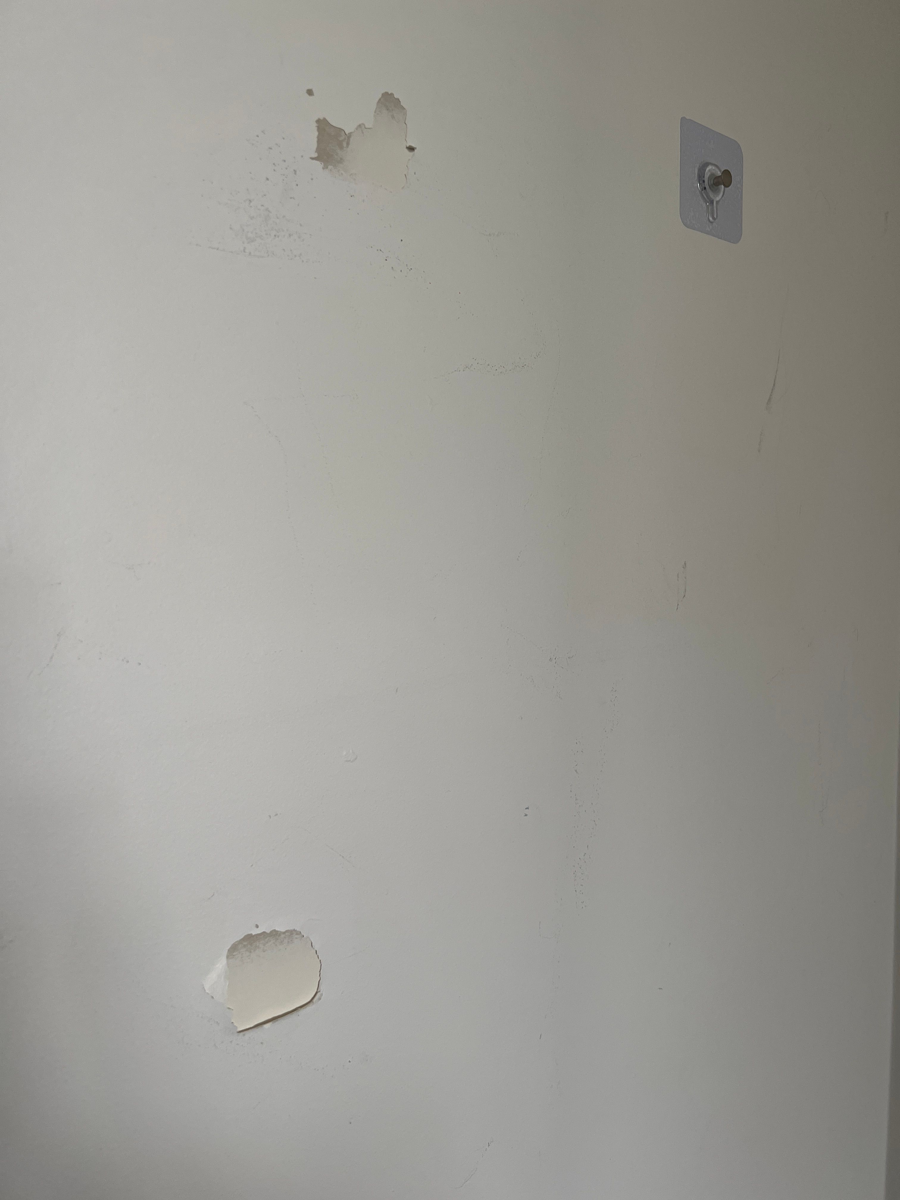 How to fill this paint patch in wall? | Bunnings Workshop community