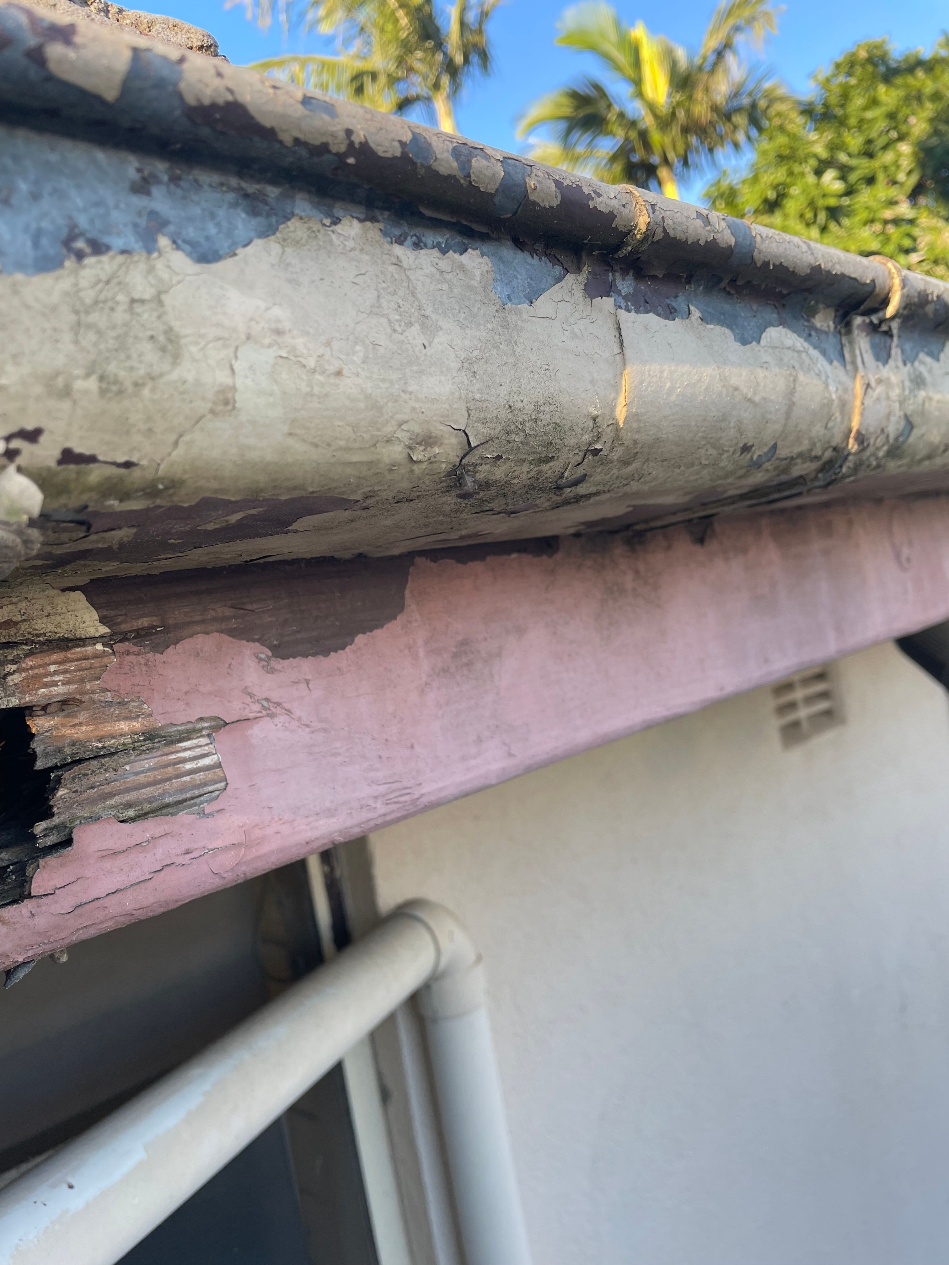 How to repaint gutter and fascia? | Bunnings Workshop community