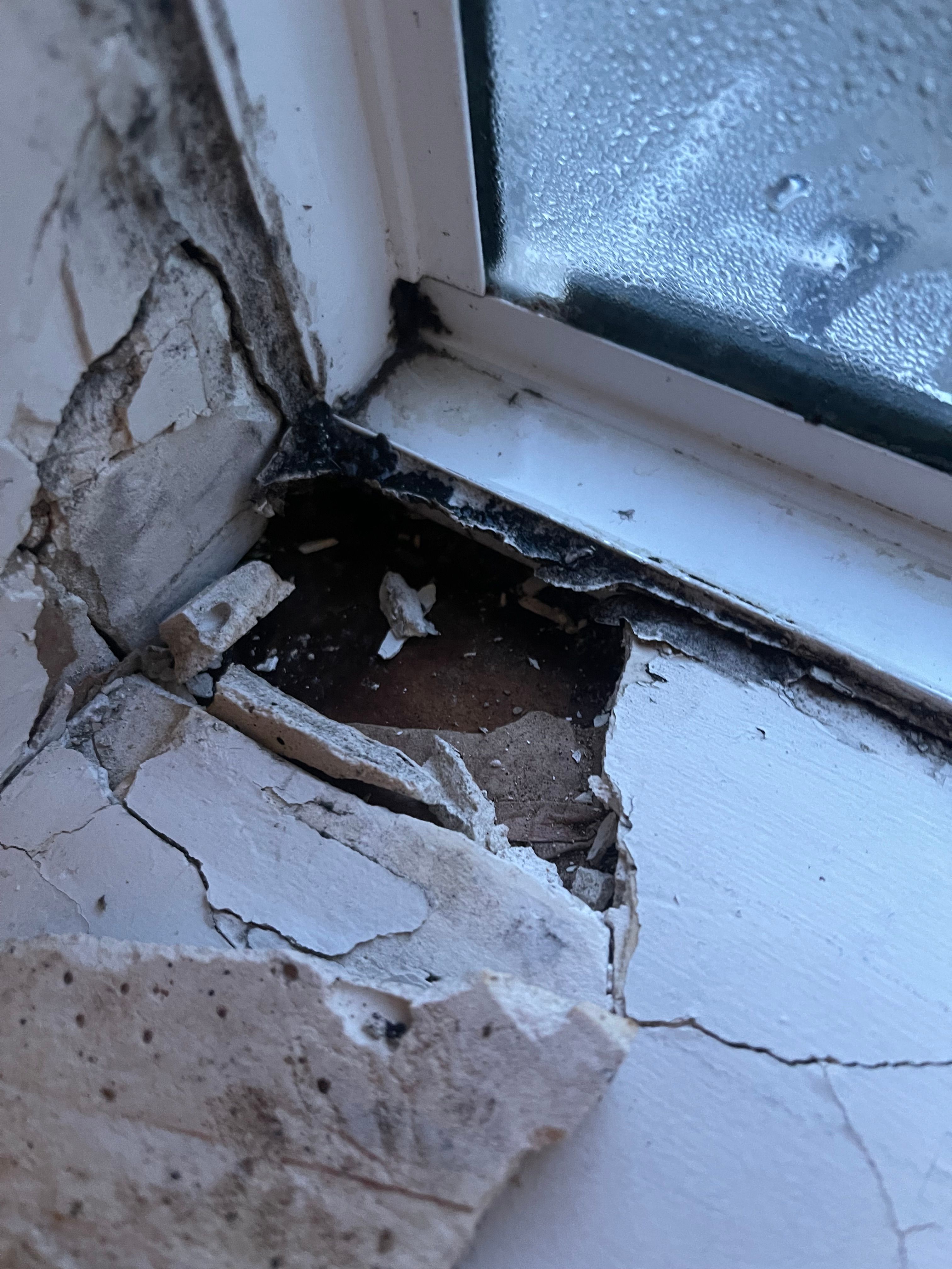 How to replace plasterboard window sill? | Bunnings Workshop community