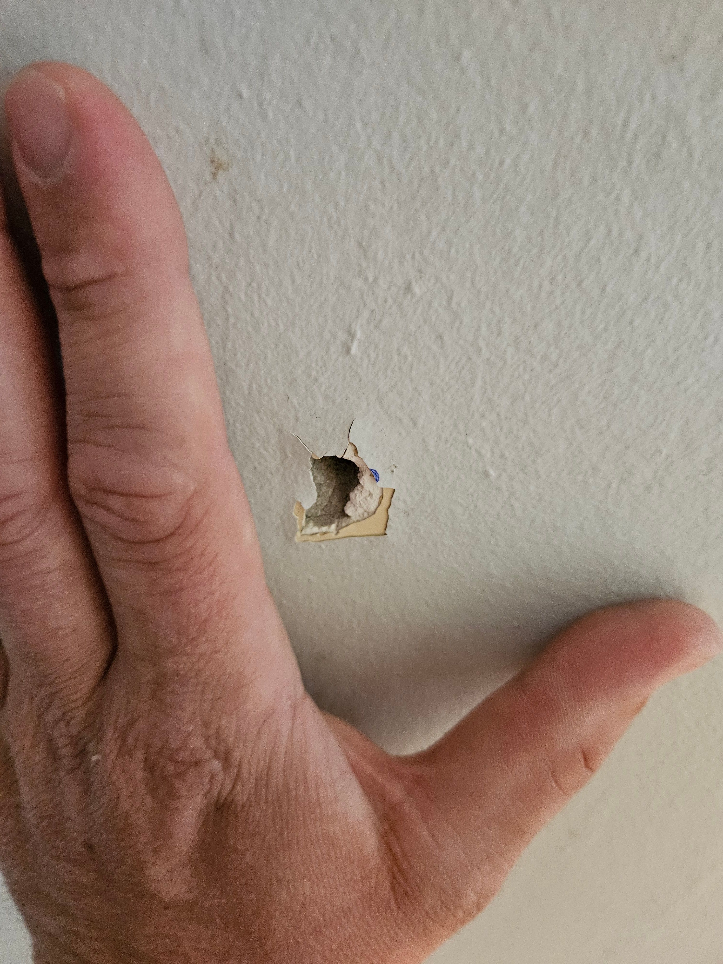 Solved: How to repair cement rendered wall? | Bunnings Workshop community