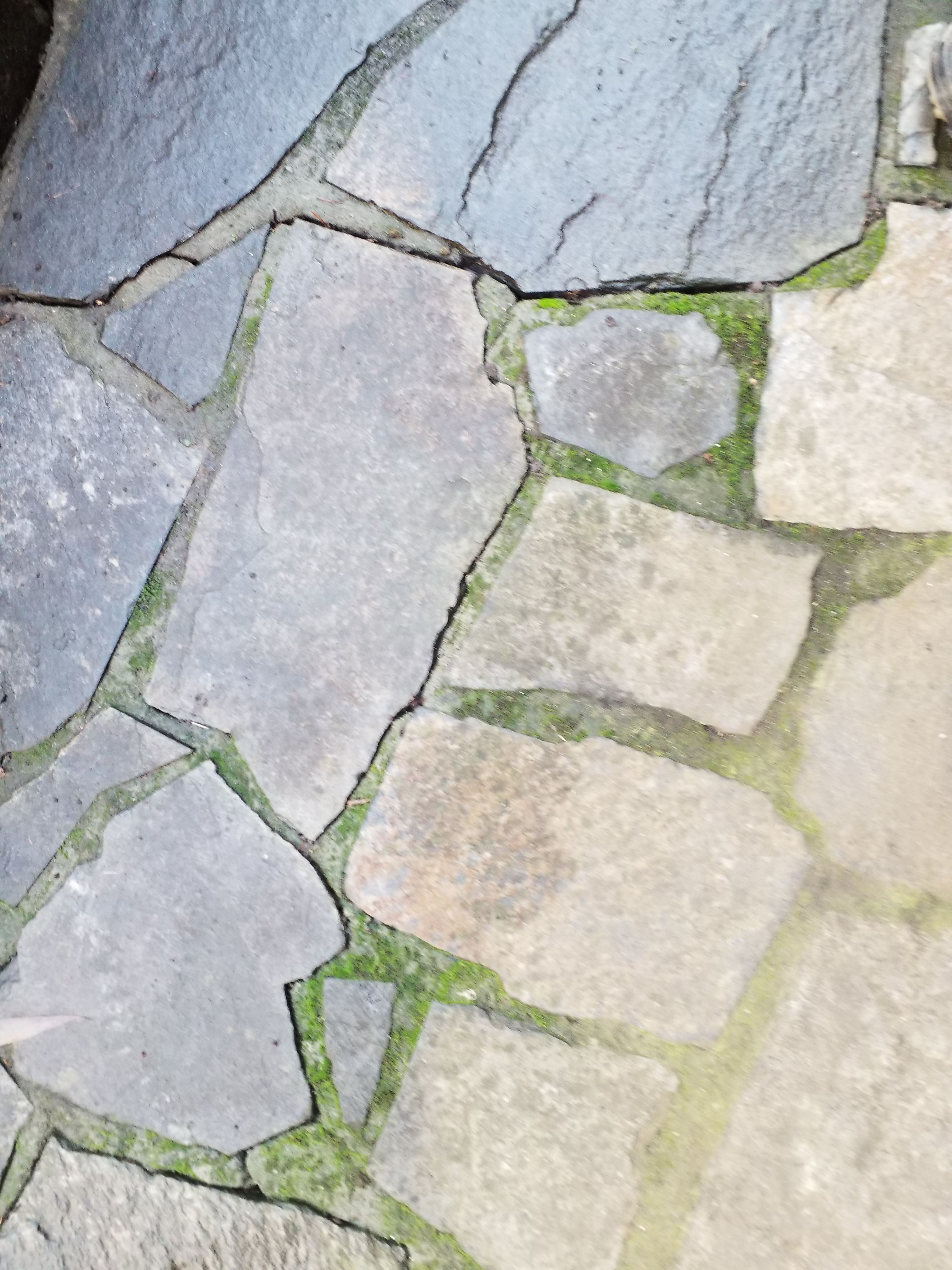 How to fix slate crazy paving cracks? | Bunnings Workshop community