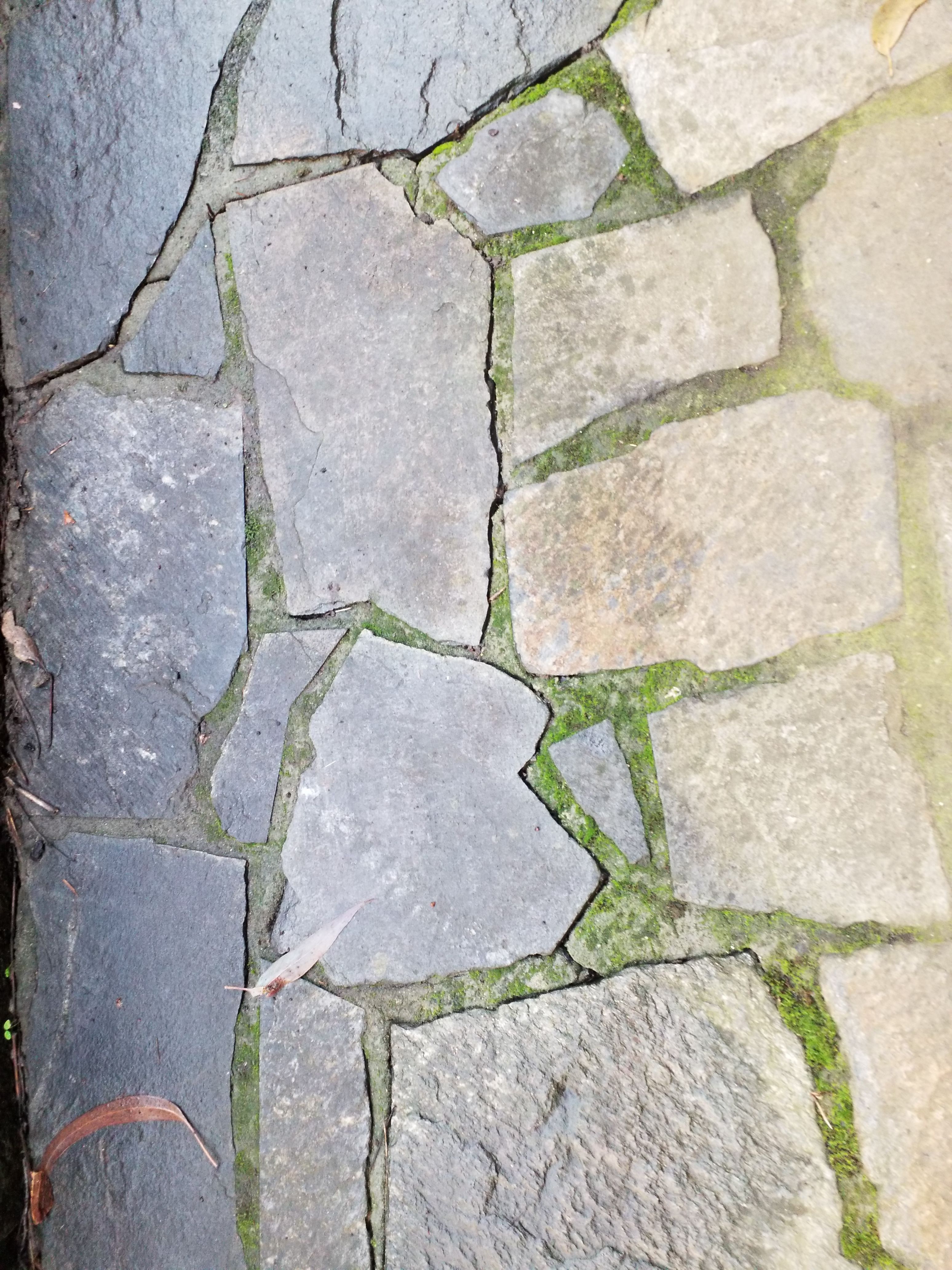 How to fix slate crazy paving cracks? | Bunnings Workshop community