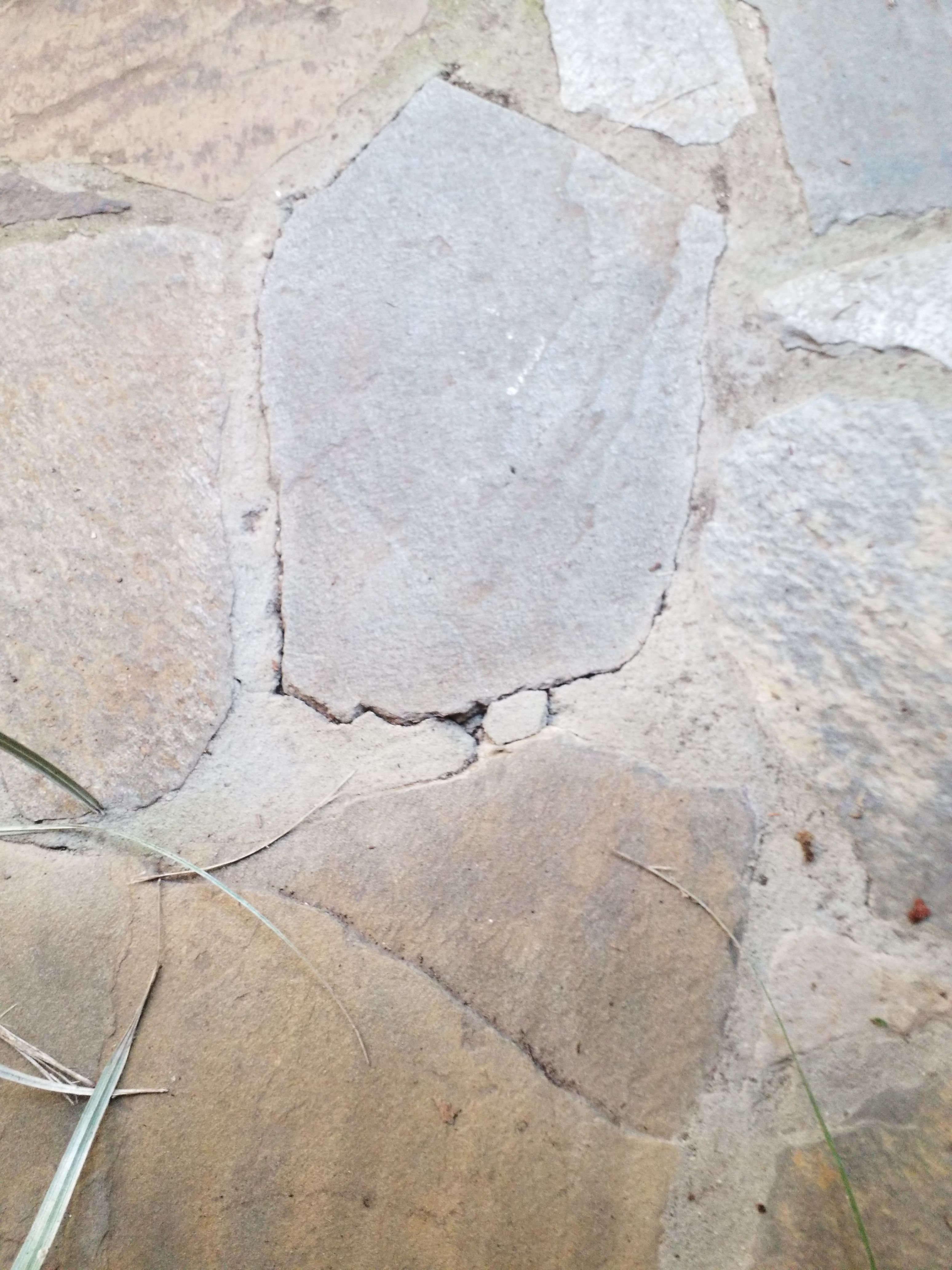 How to fix slate crazy paving cracks? | Bunnings Workshop community