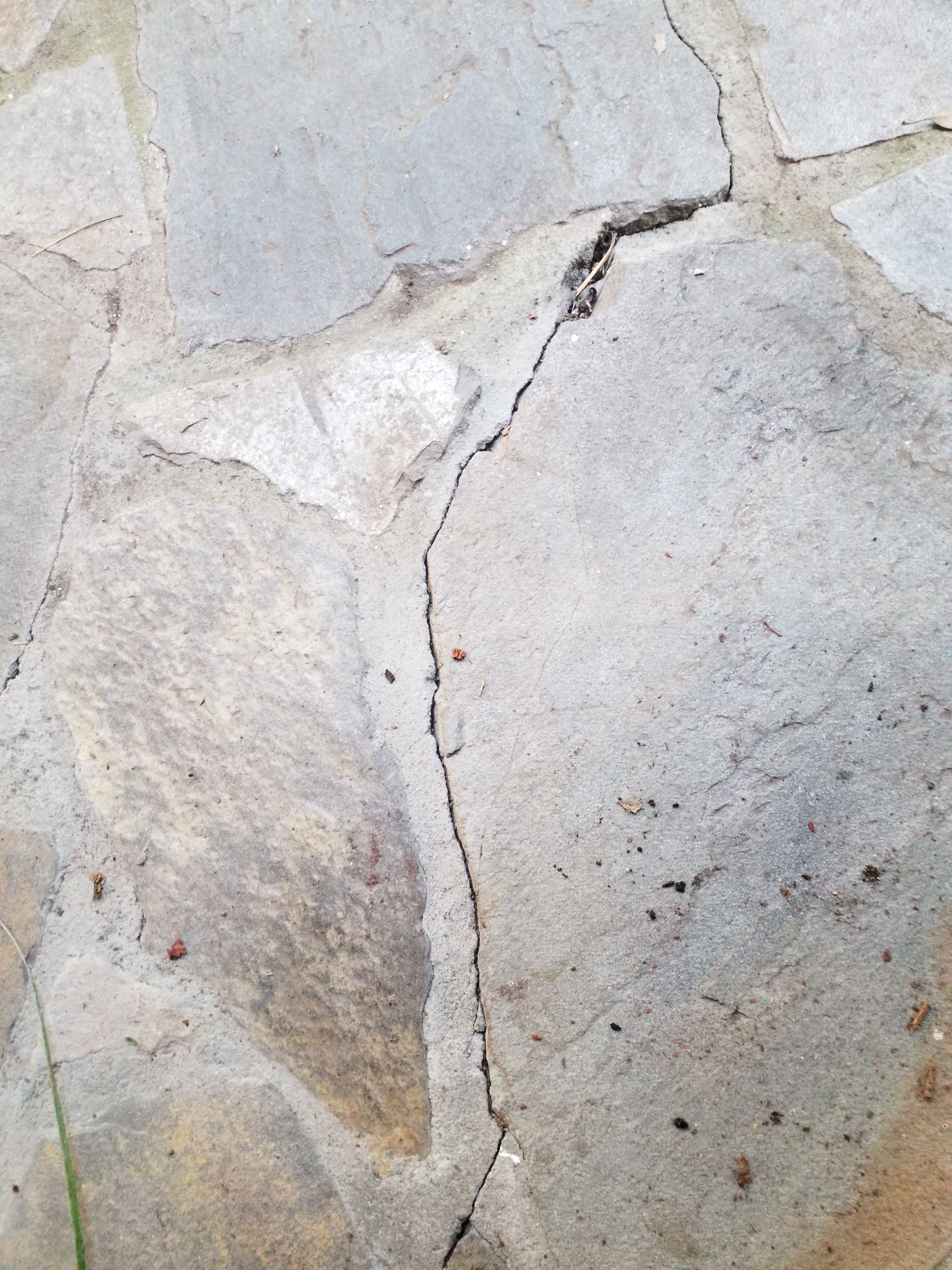 How to fix slate crazy paving cracks? | Bunnings Workshop community