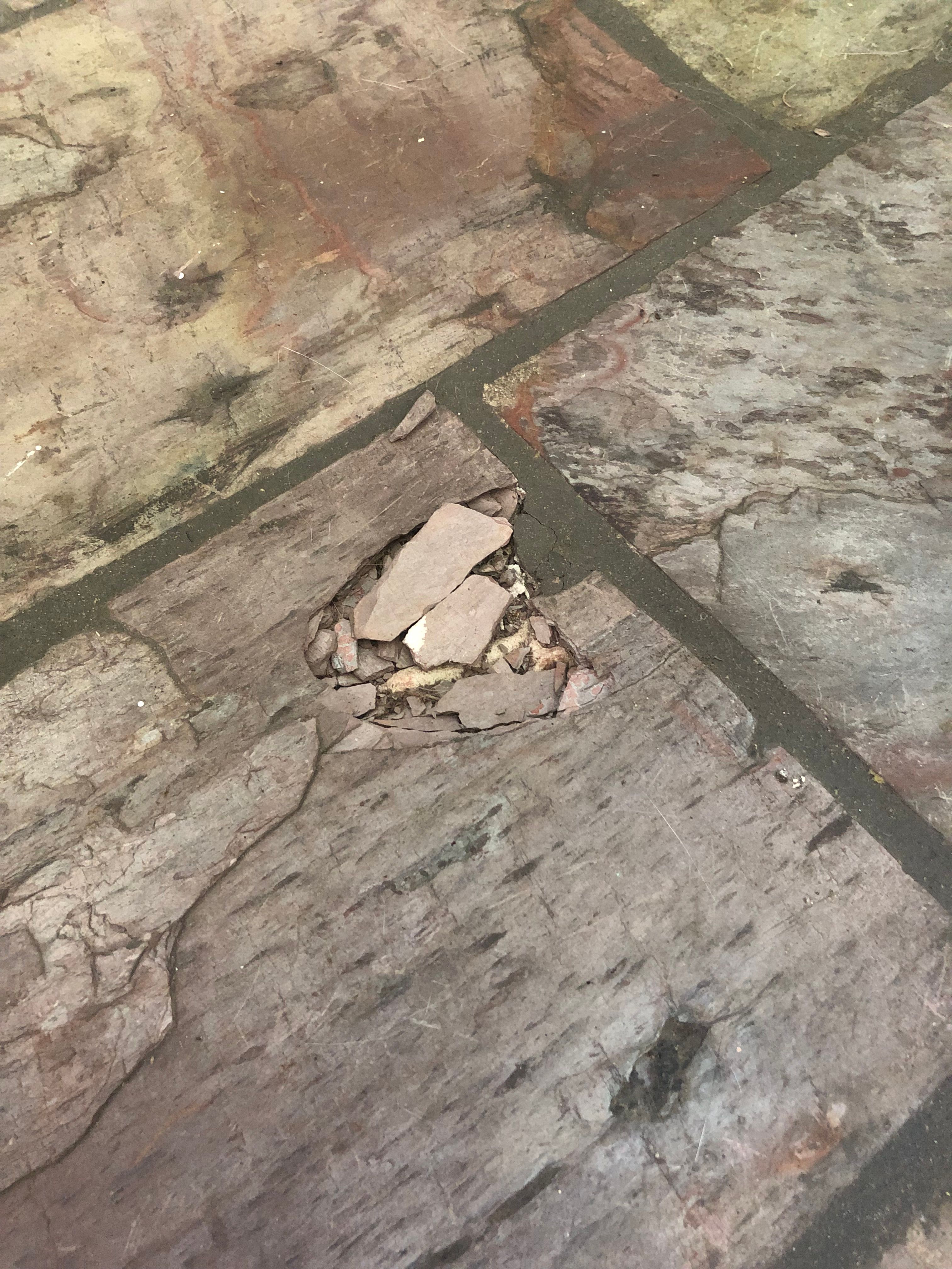 How to fix a cracked slate tile? | Bunnings Workshop community